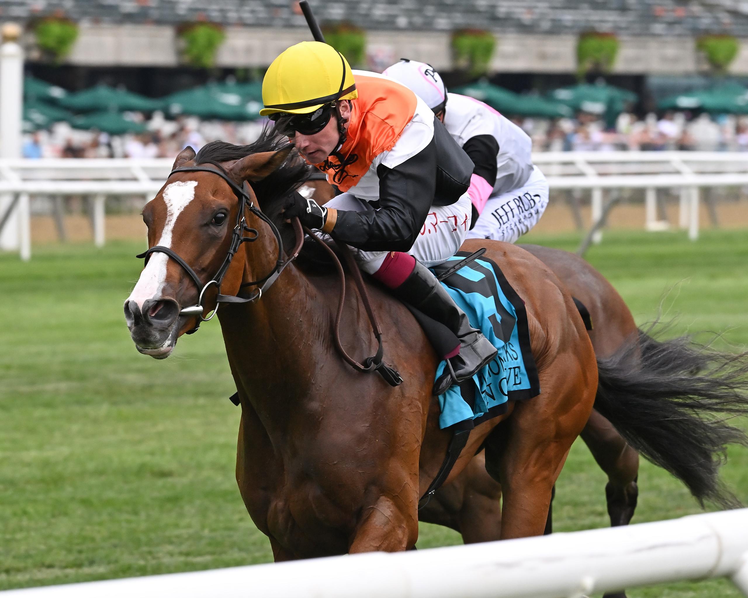 Aspen Grove to ‘Stack’ Up Against the Boys in G1 Saratoga Derby - Past ...
