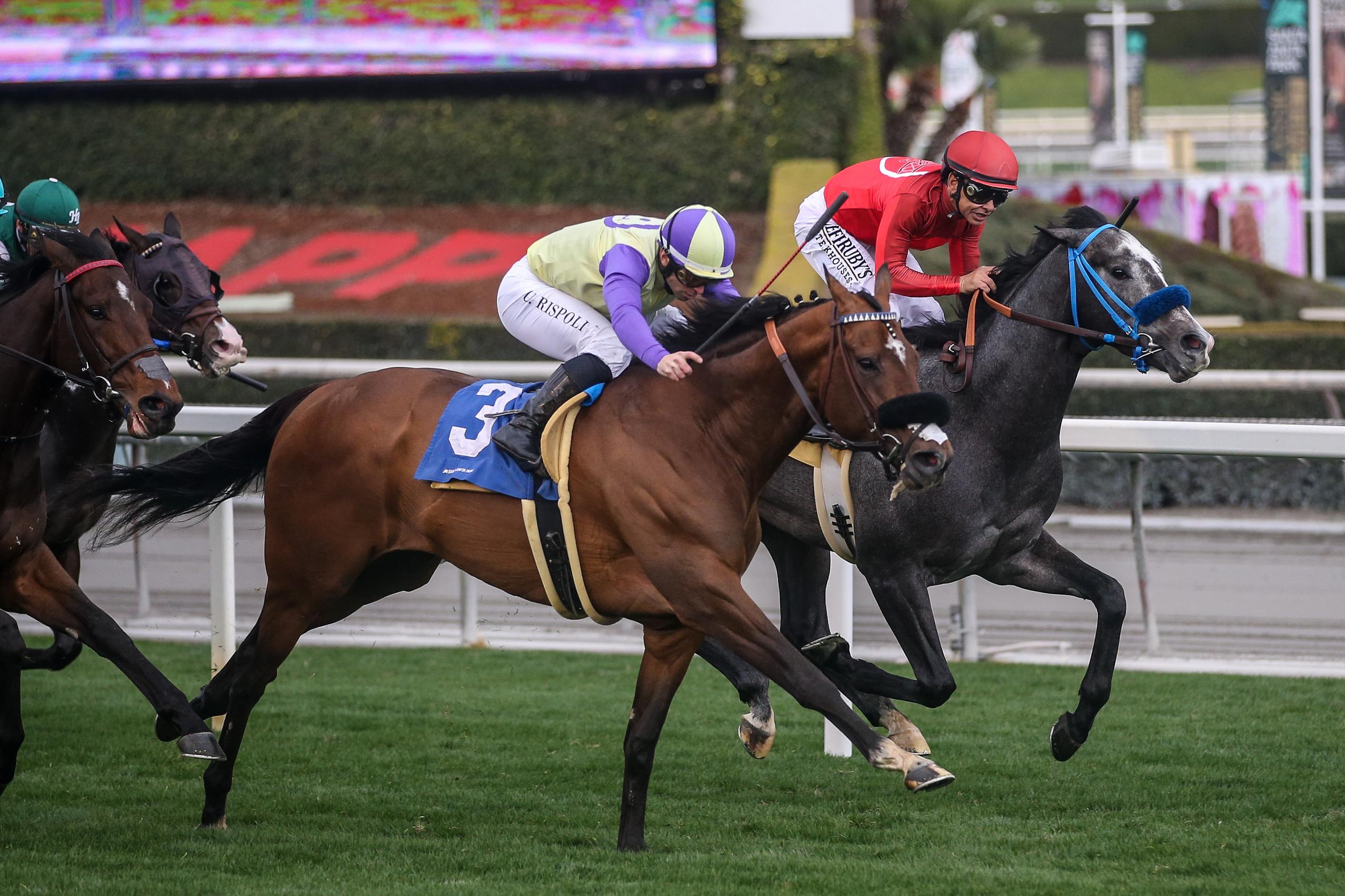 Oceanside Stakes Highlights Large Opening Day Del Mar Card - Past The Wire