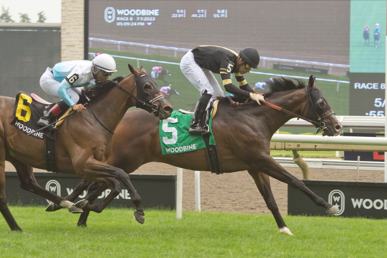 Lucky Score Scores Top Prize in G2 Highlander at 14-1 - Past The Wire