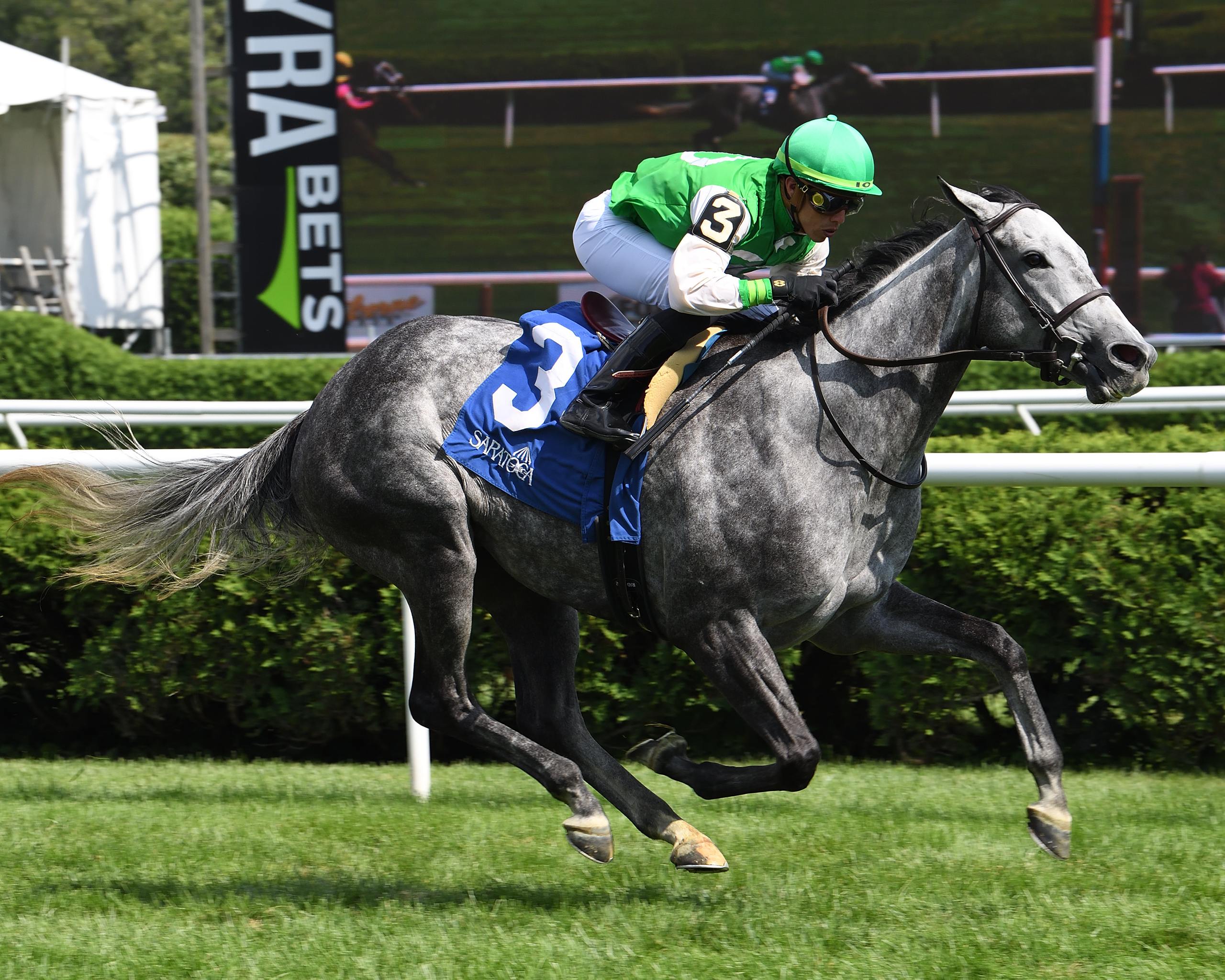 Roses for Debra Pounces and Makes the Grade in G3 Caress - Past The Wire