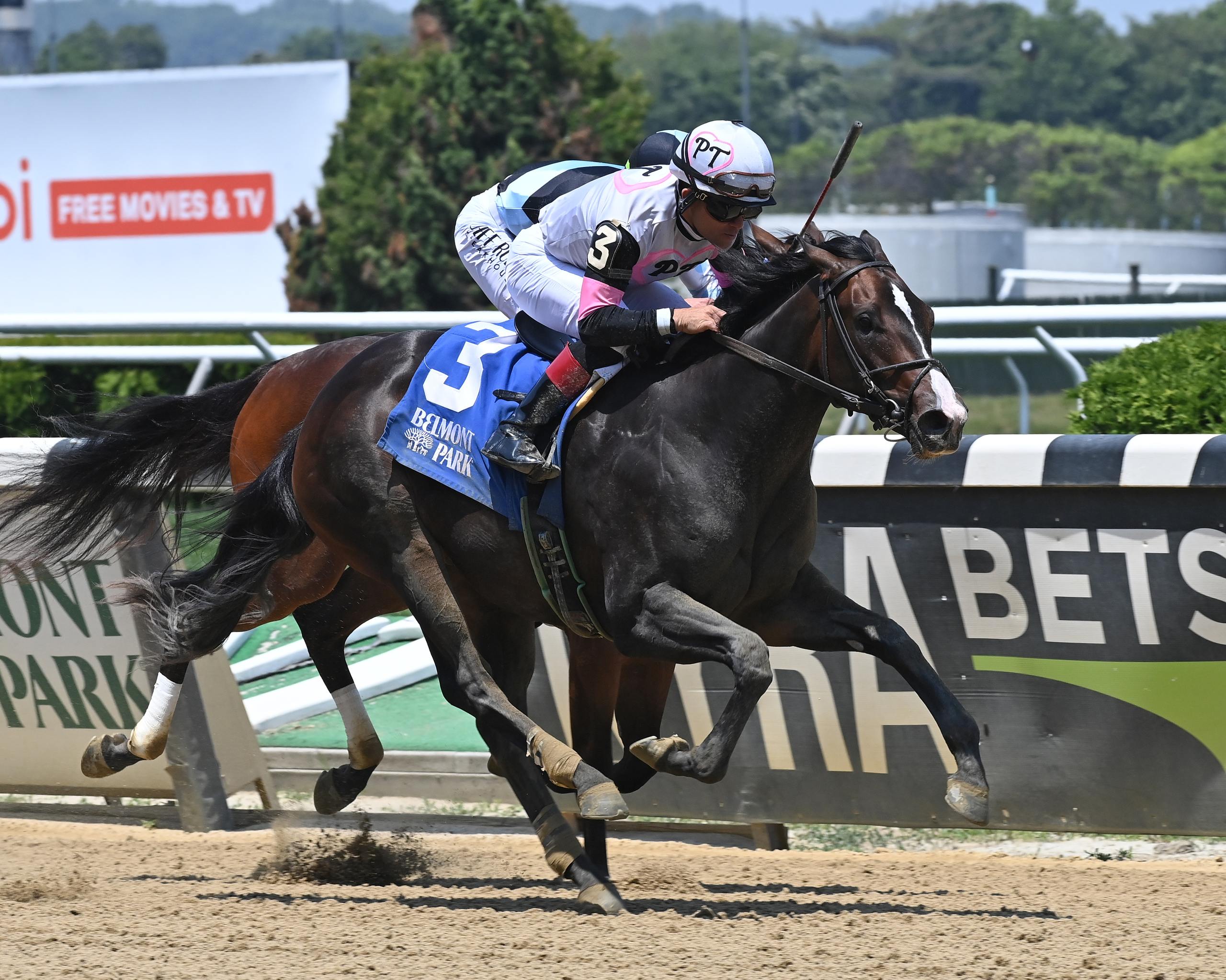 Status Seeker Jumps To Graded Level in G3 Schuylerville - Past The Wire