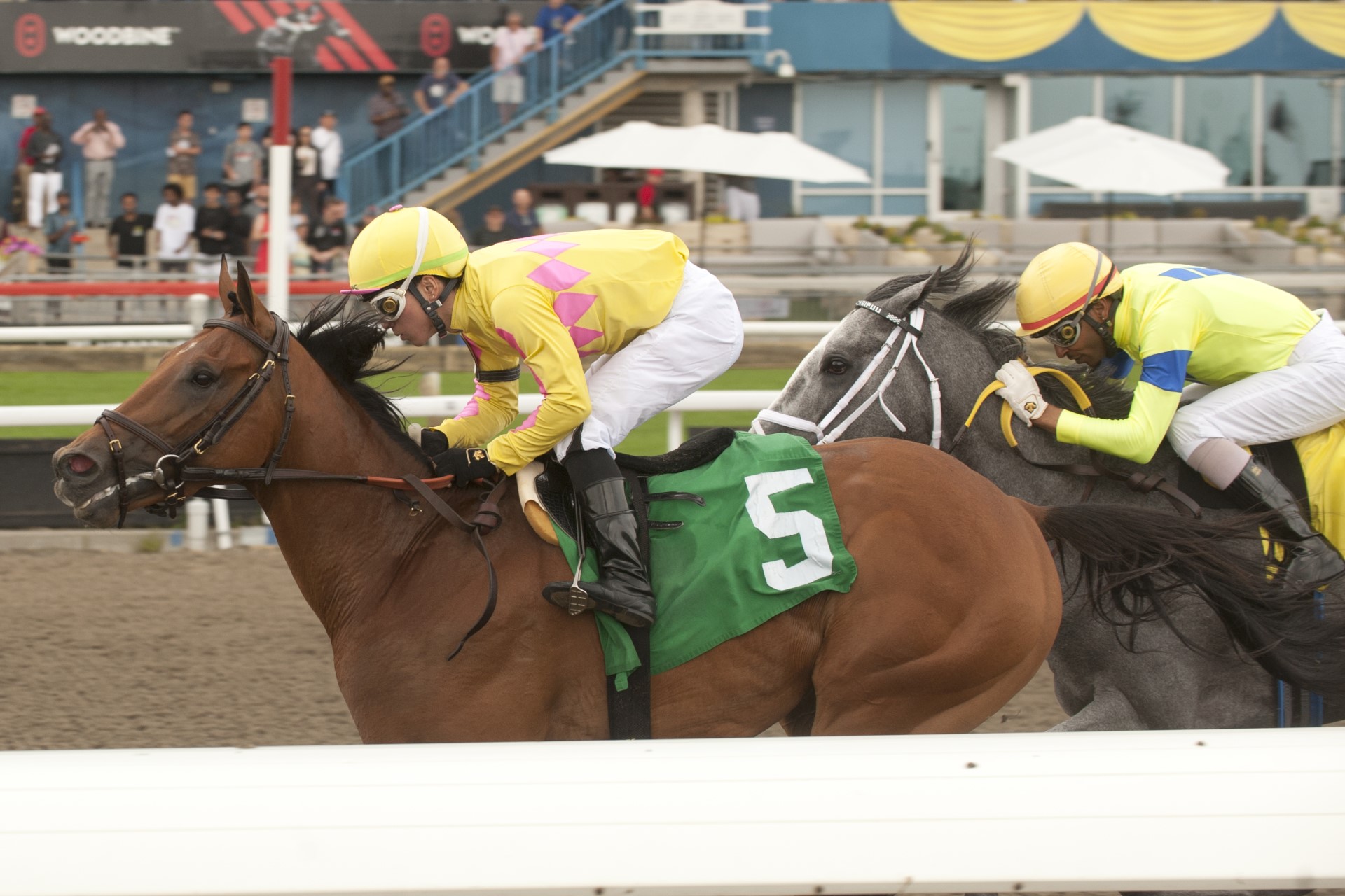 New Jersey Shipper Turf King Prevails in G3 Marine - Past The Wire