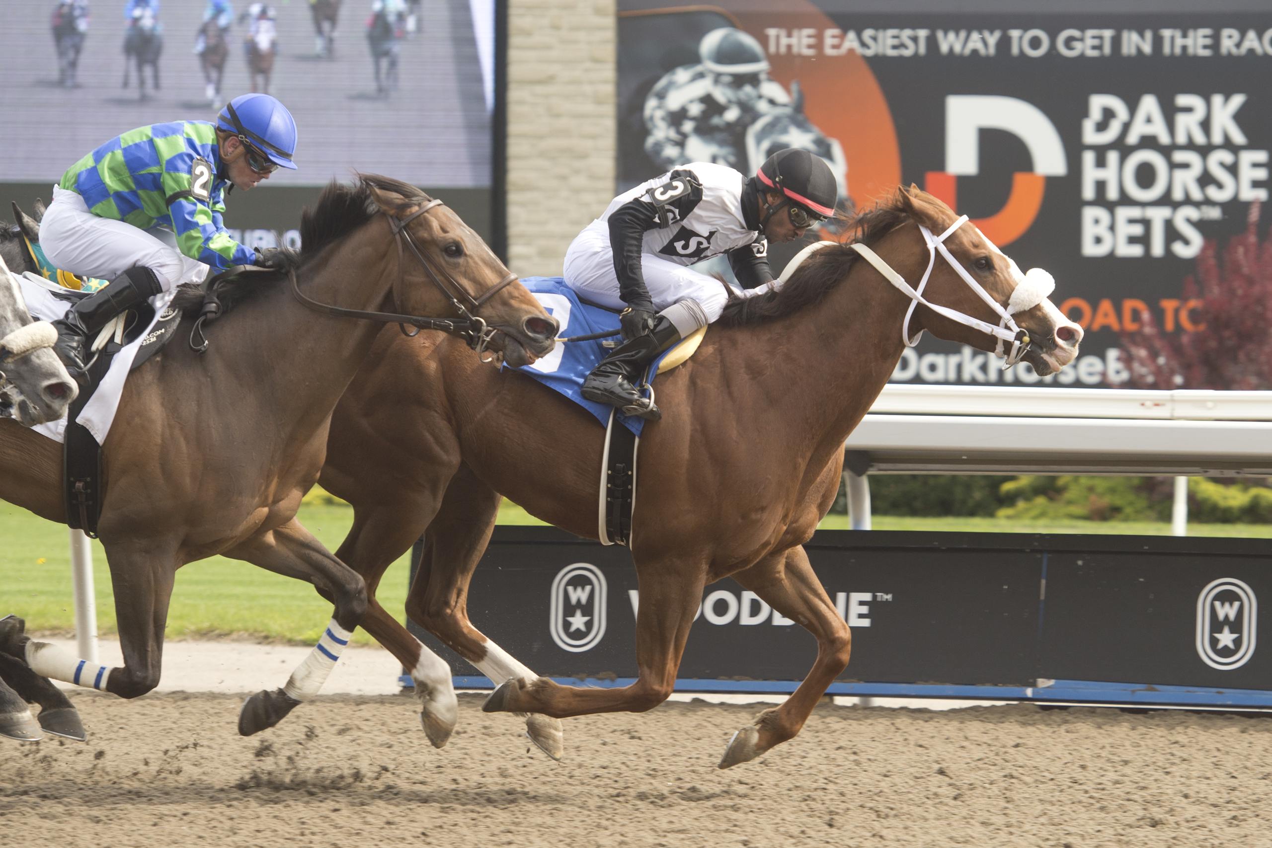 ‘He’s All Racehorse’ - Past The Wire