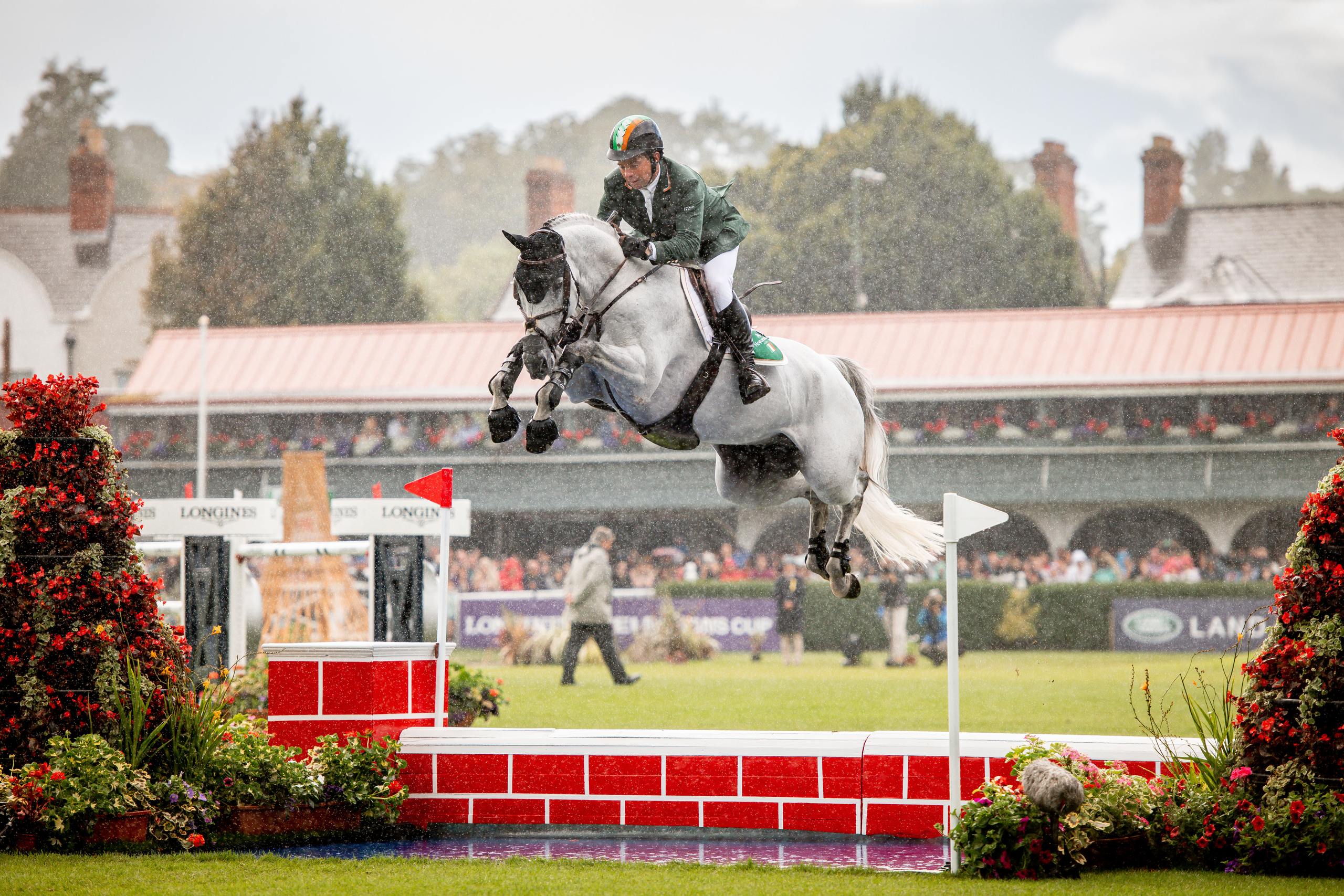 Young Event Horses Partners with Equine MediRecord - Past The Wire