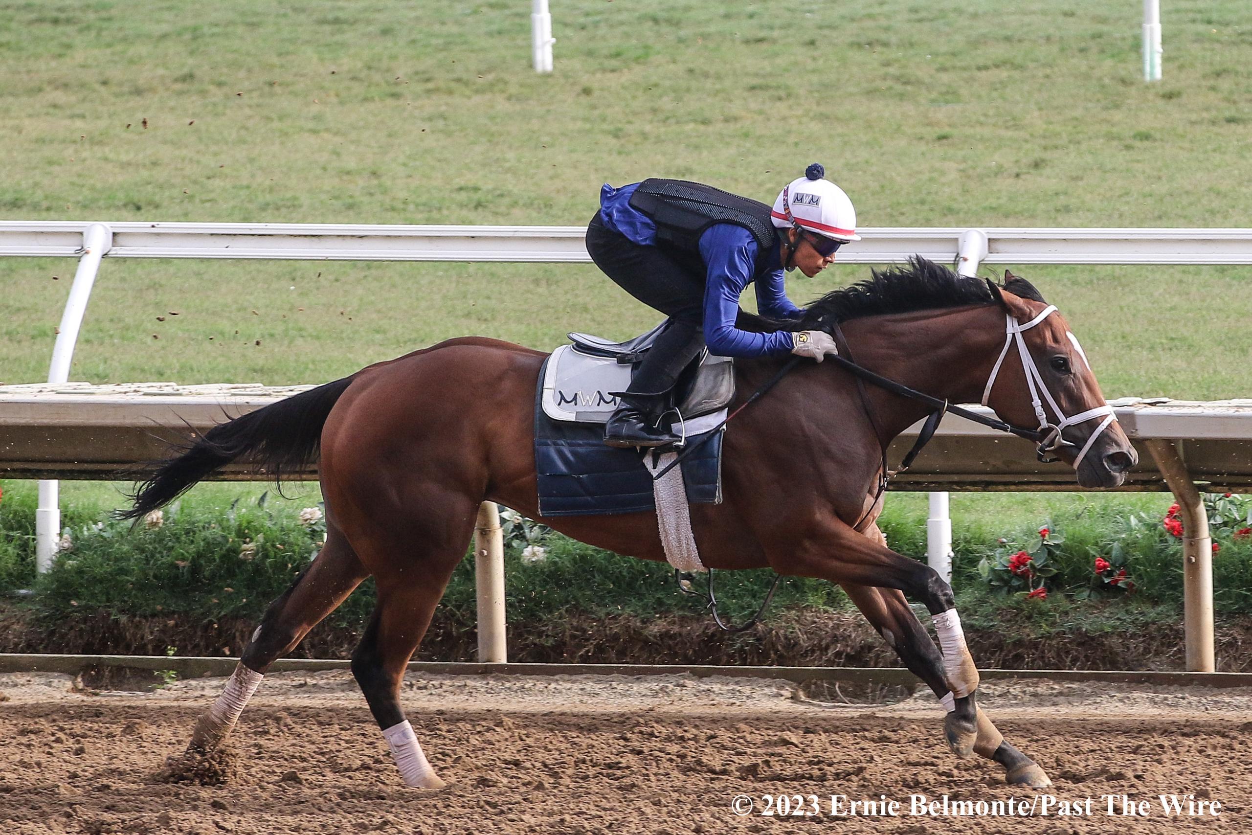 Clearly Unhinged Steps up in G1 Test - Past The Wire