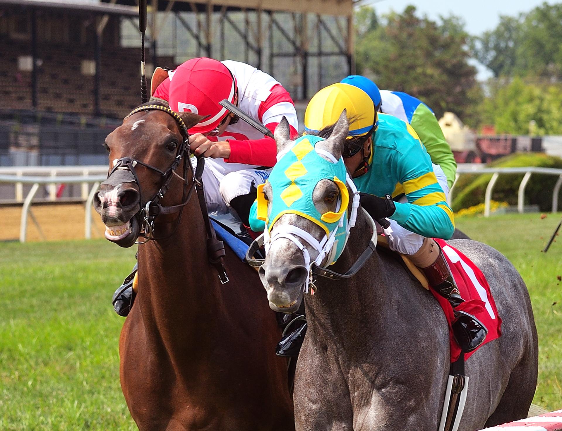 Field Pass Faces State-Breds for First Time in $75K Find - Past The Wire