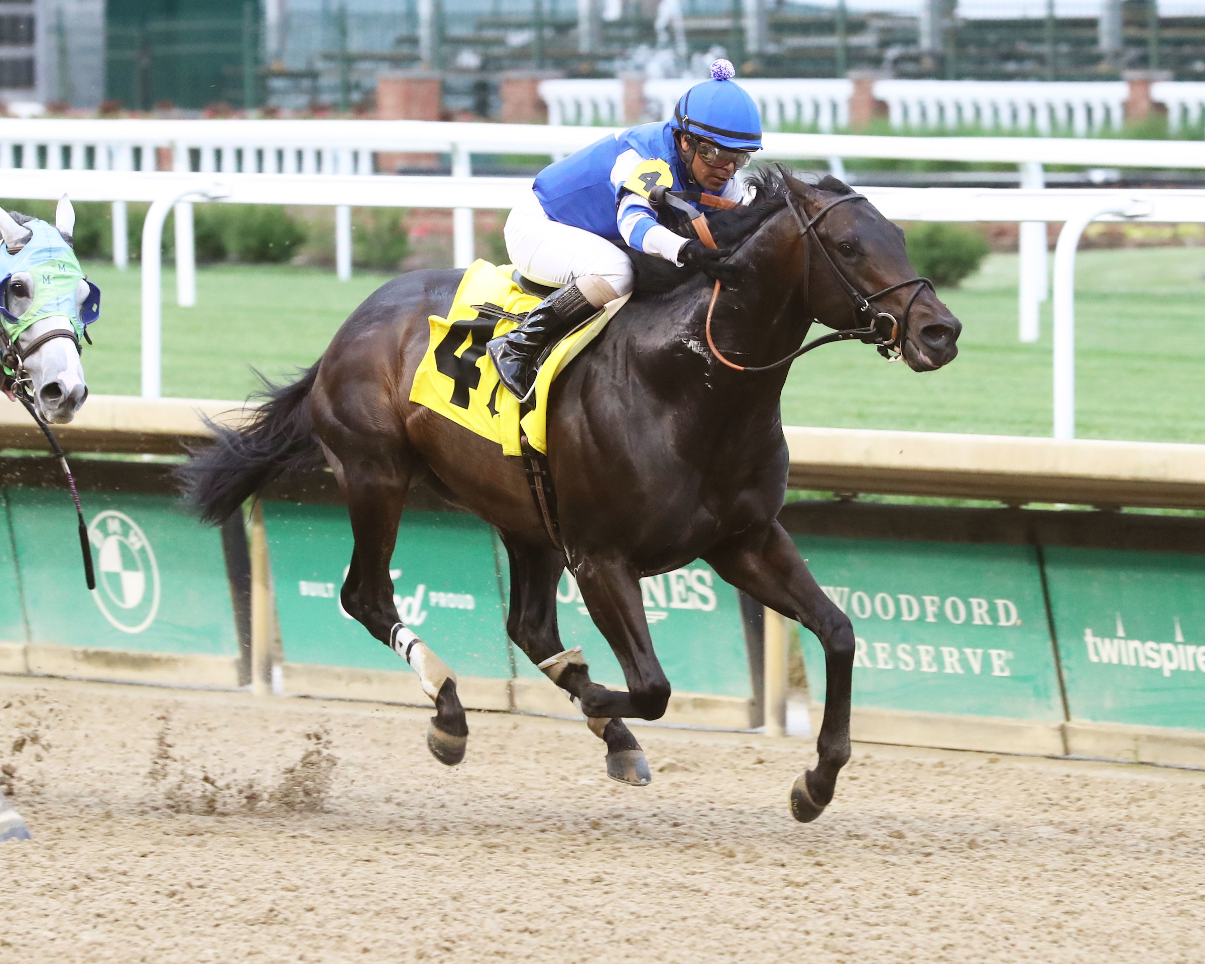 Finley Hopeful for a ‘Giant’ Upset in G1 Whitney - Past The Wire