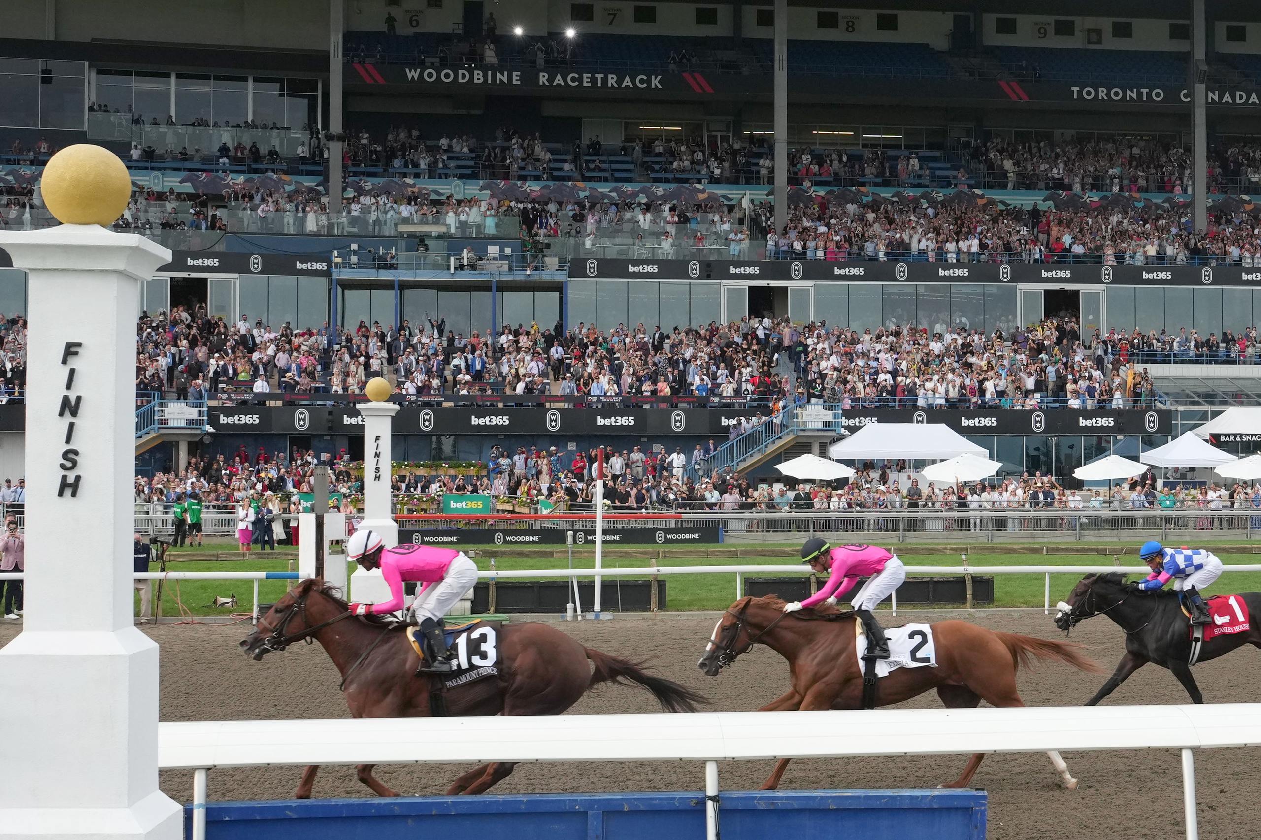 Paramount Prince Reigns Supreme in King’s Plate - Past The Wire
