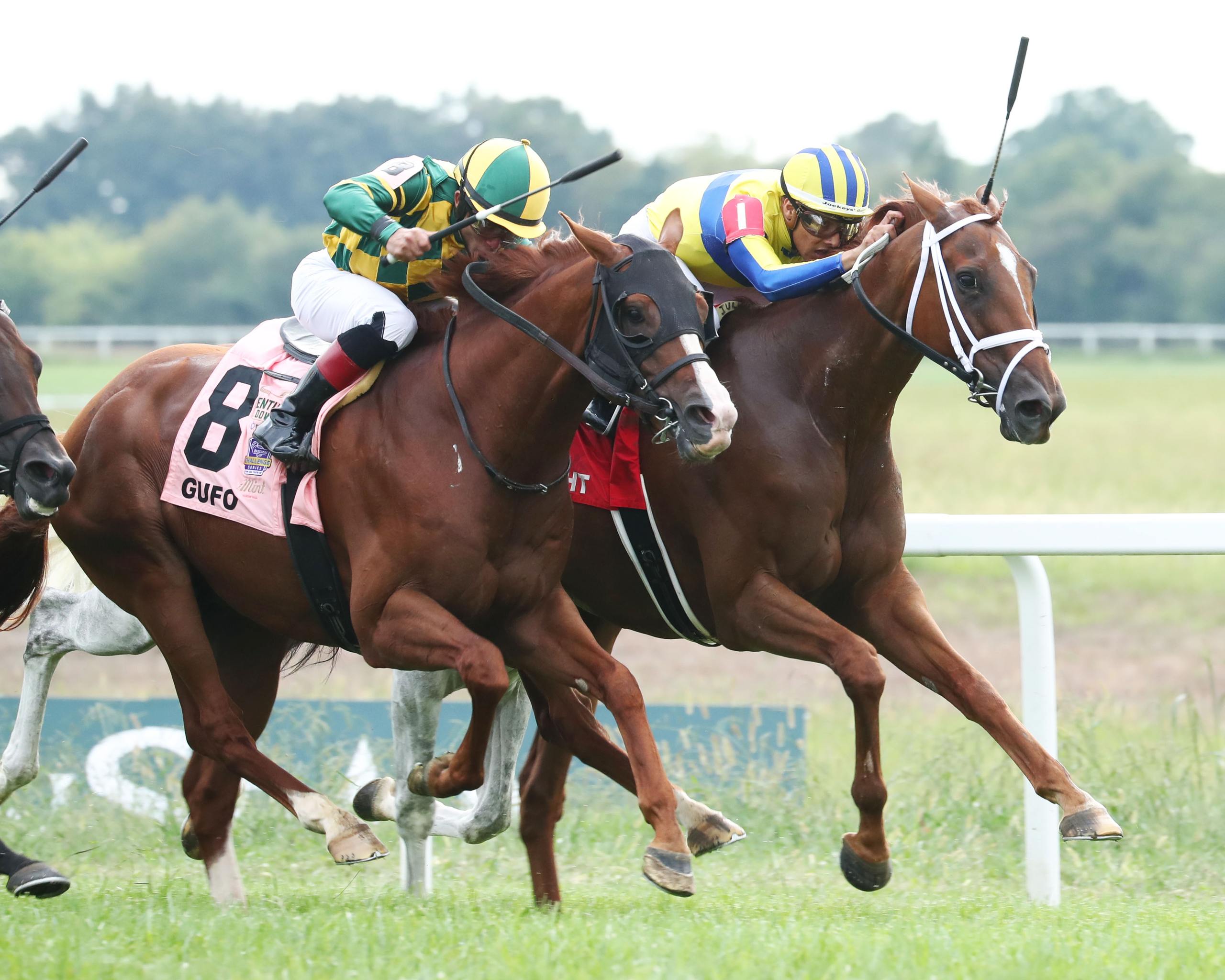 FanDuel Title Sponsor of $1.7M Turf Cup at Ky. Downs - Past The Wire