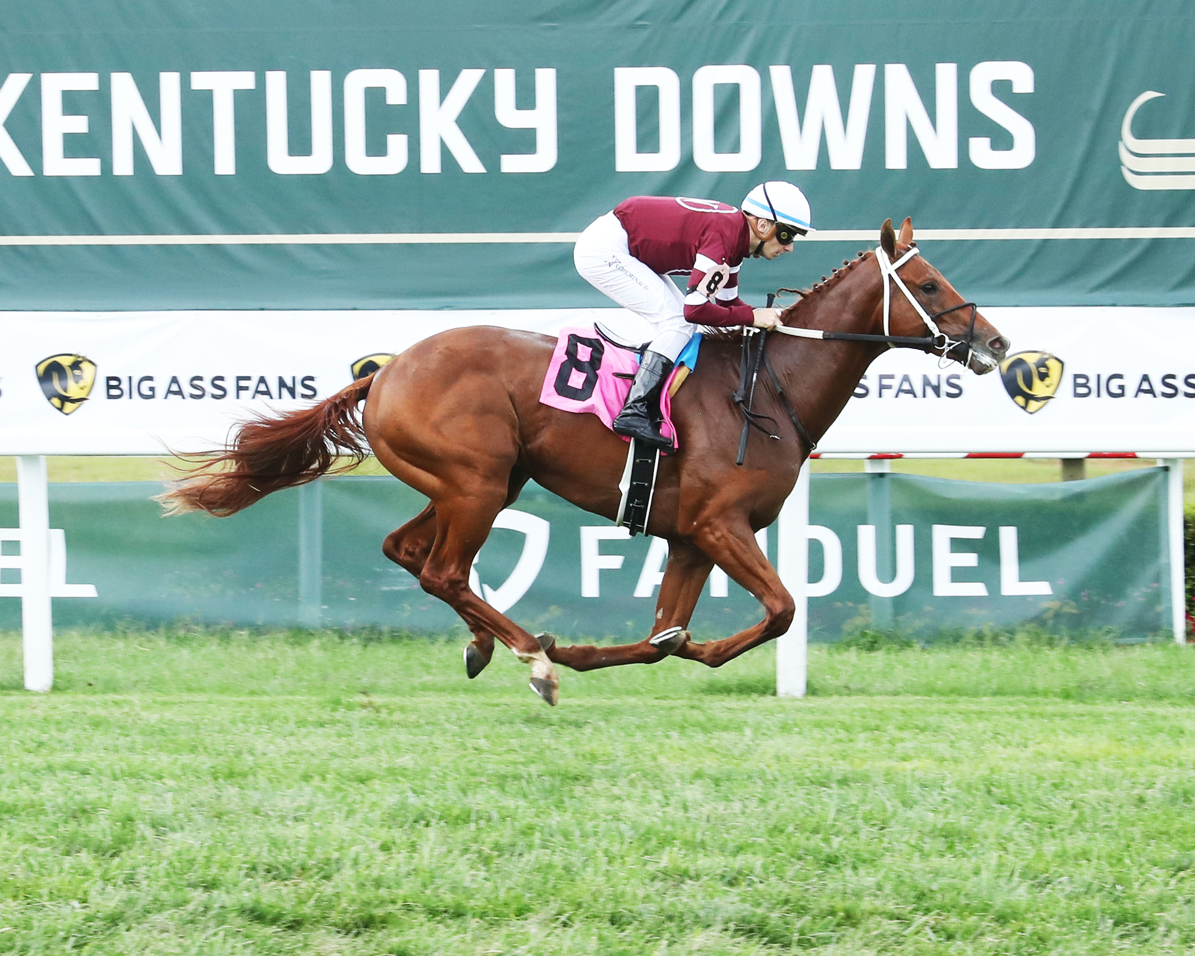 Red Route One, Cogburn Likely Headed to Kentucky Downs for Stakes ...