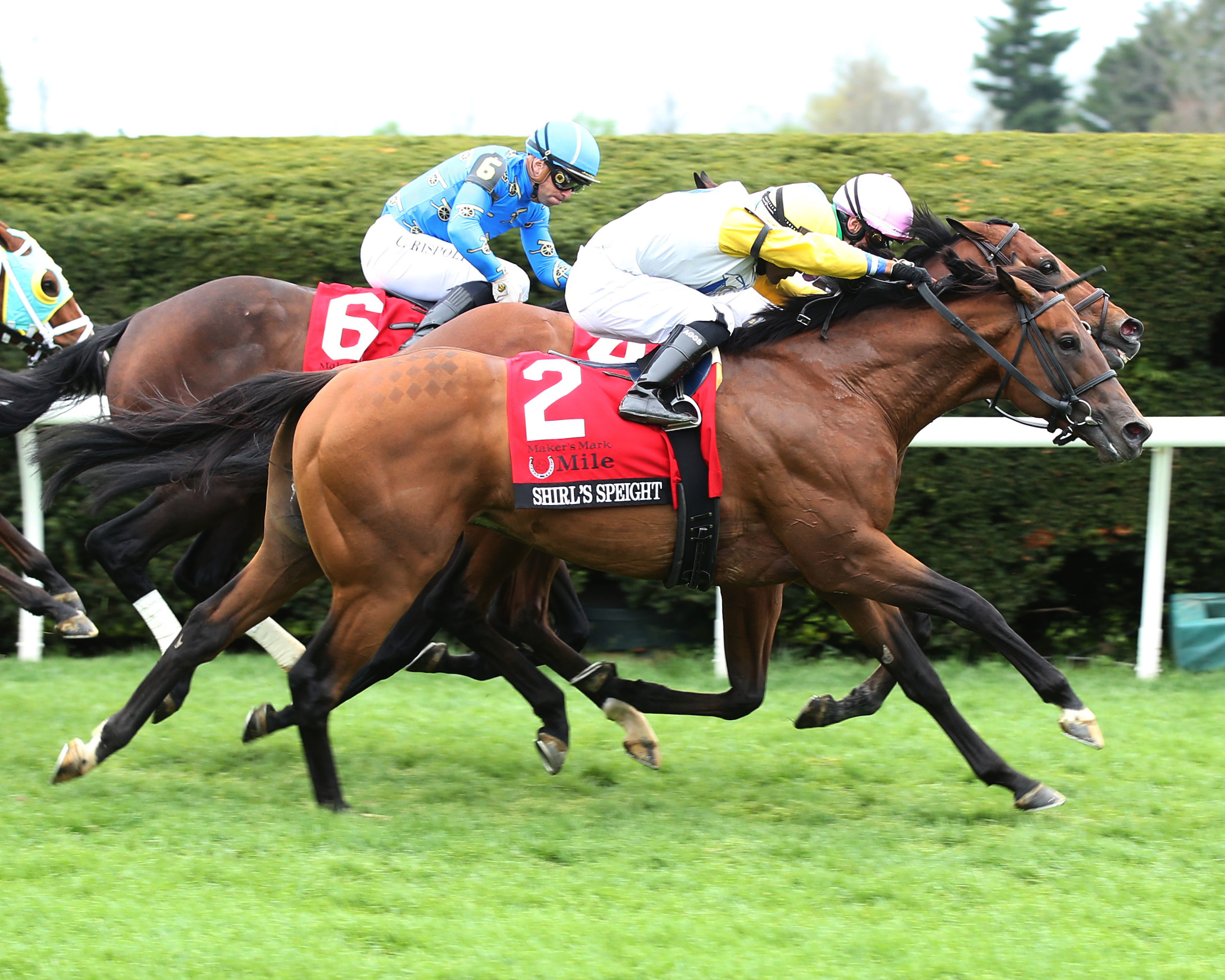 Shirl’s Speight Returns to Action in G2 King Edward - Past The Wire