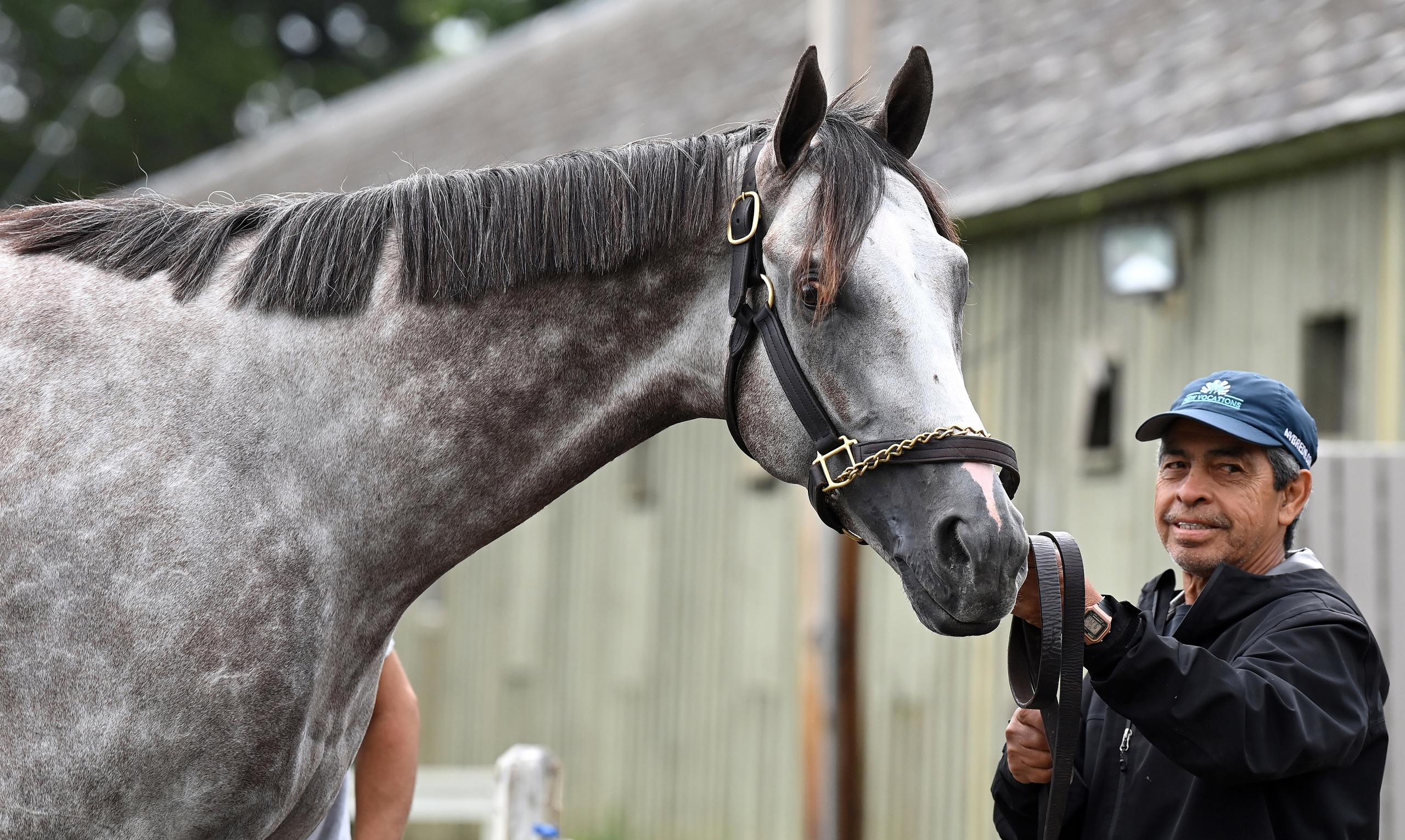 Tapit Trice, Forte in Good Order After G1 Travers Efforts - Past The Wire