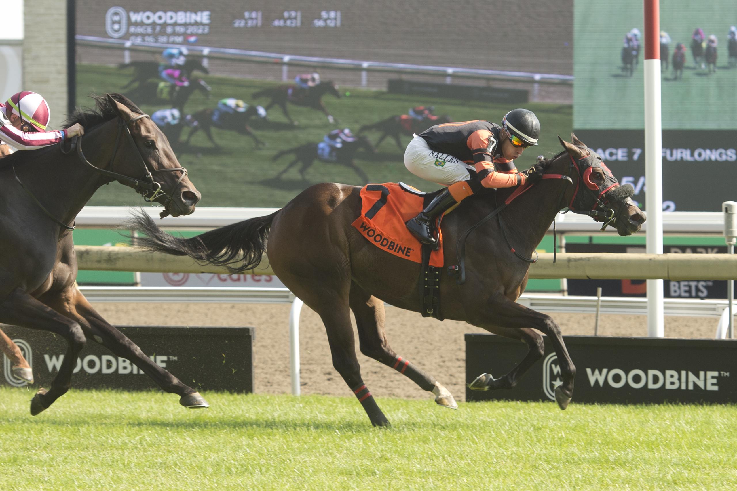 Canadiansweetheart Boasts 36-1 Upset in $125K Sweet Briar Too - Past ...