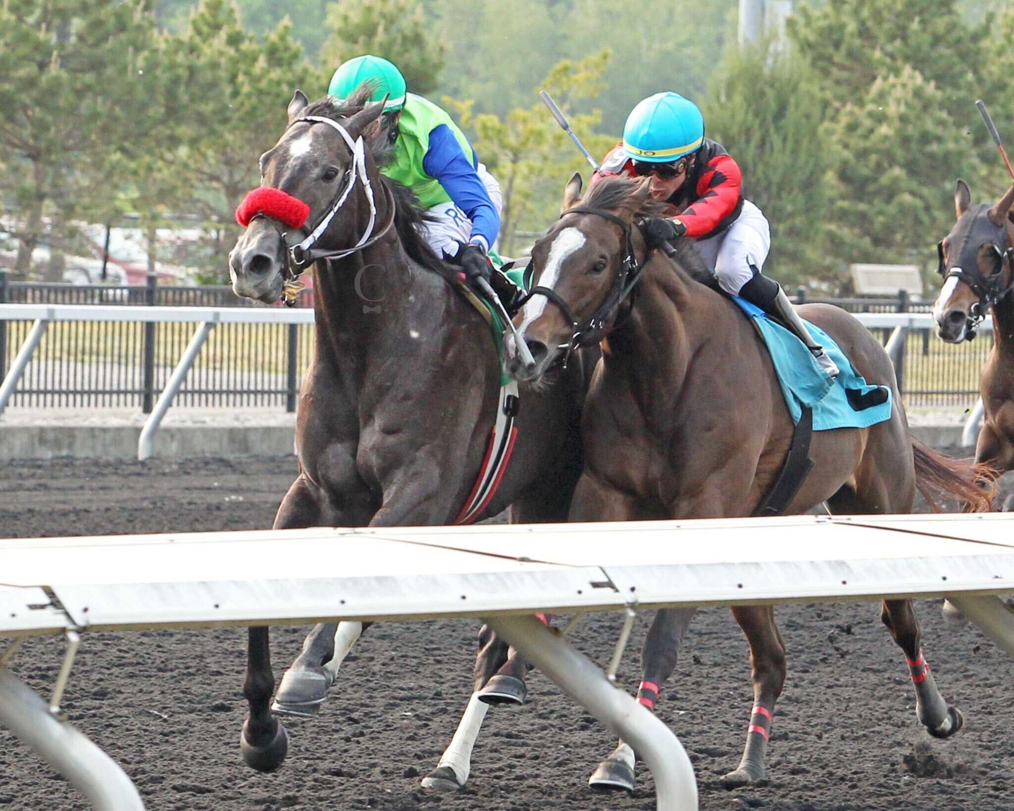 Trainer Adam Rice Looking To Continue Spa Success - Past The Wire