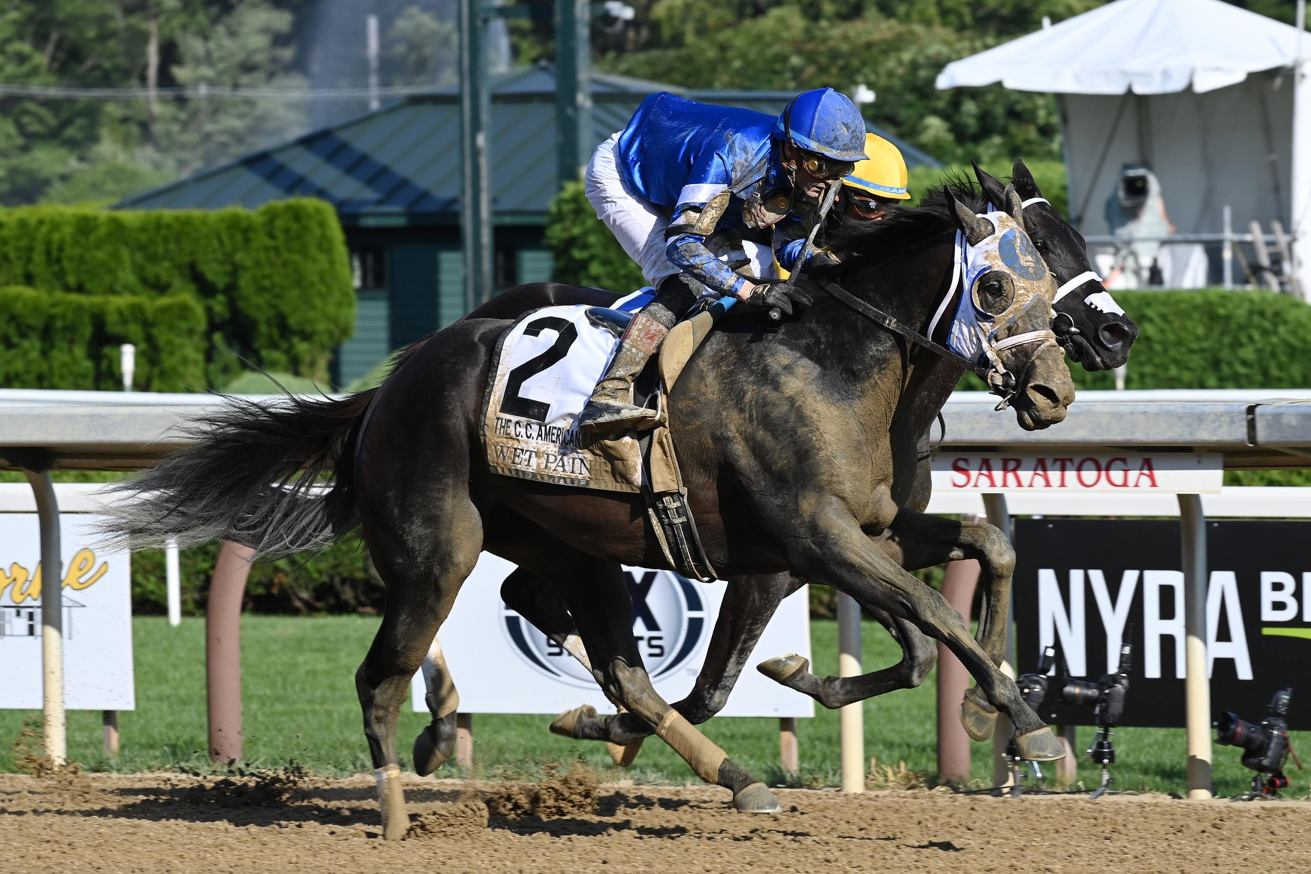 Cox Breezes Slew of Graded Stakes Winners at Saratoga - Past The Wire