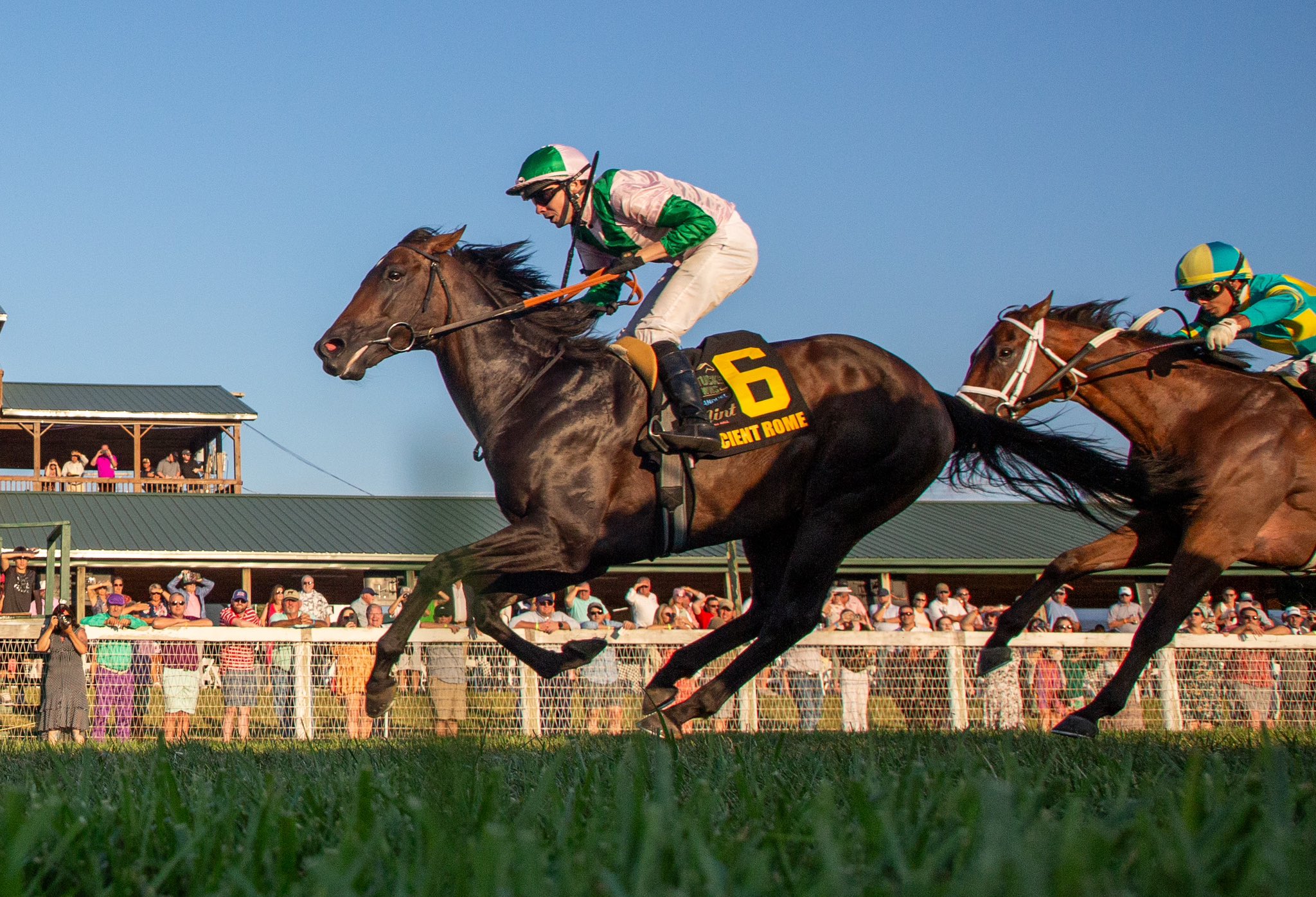 KY-Bred Brit Ancient Rome Scores Big in Mint Million 2.0 - Past The Wire