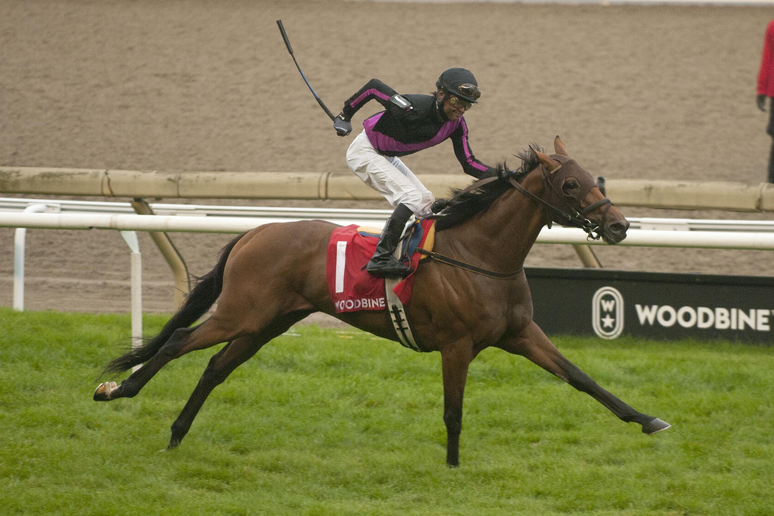 Nominations Released for G1 Canadian International - Past The Wire