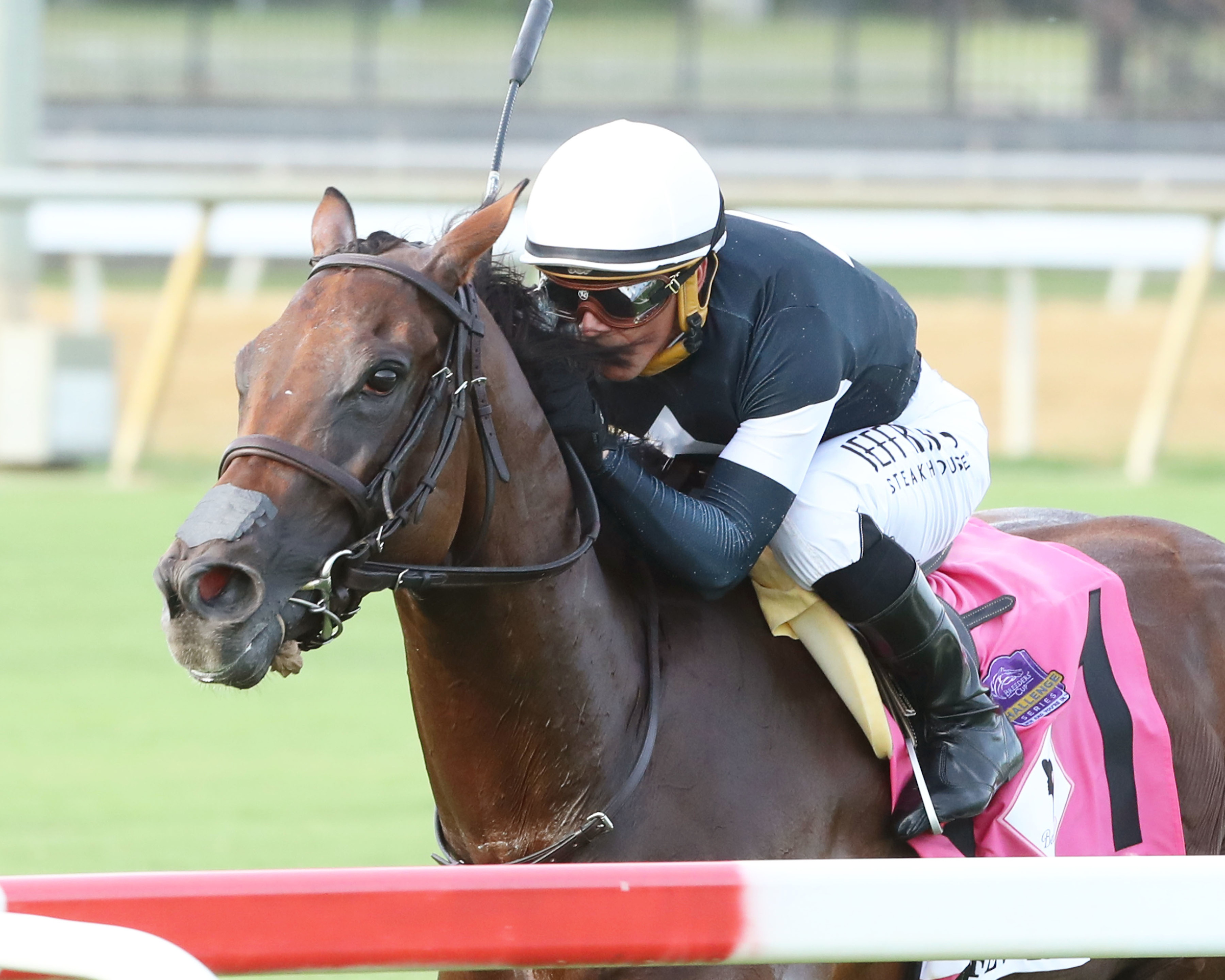 Fev Rover Aims To Defend Her Title in G2 Canadian - Past The Wire