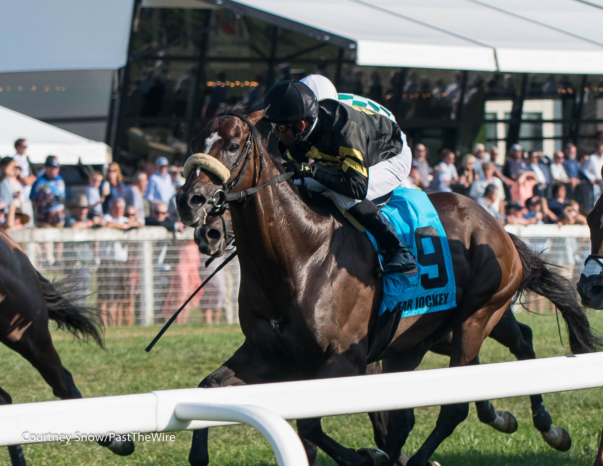 Gear Jockey Scores Second Turf Sprint - Past The Wire