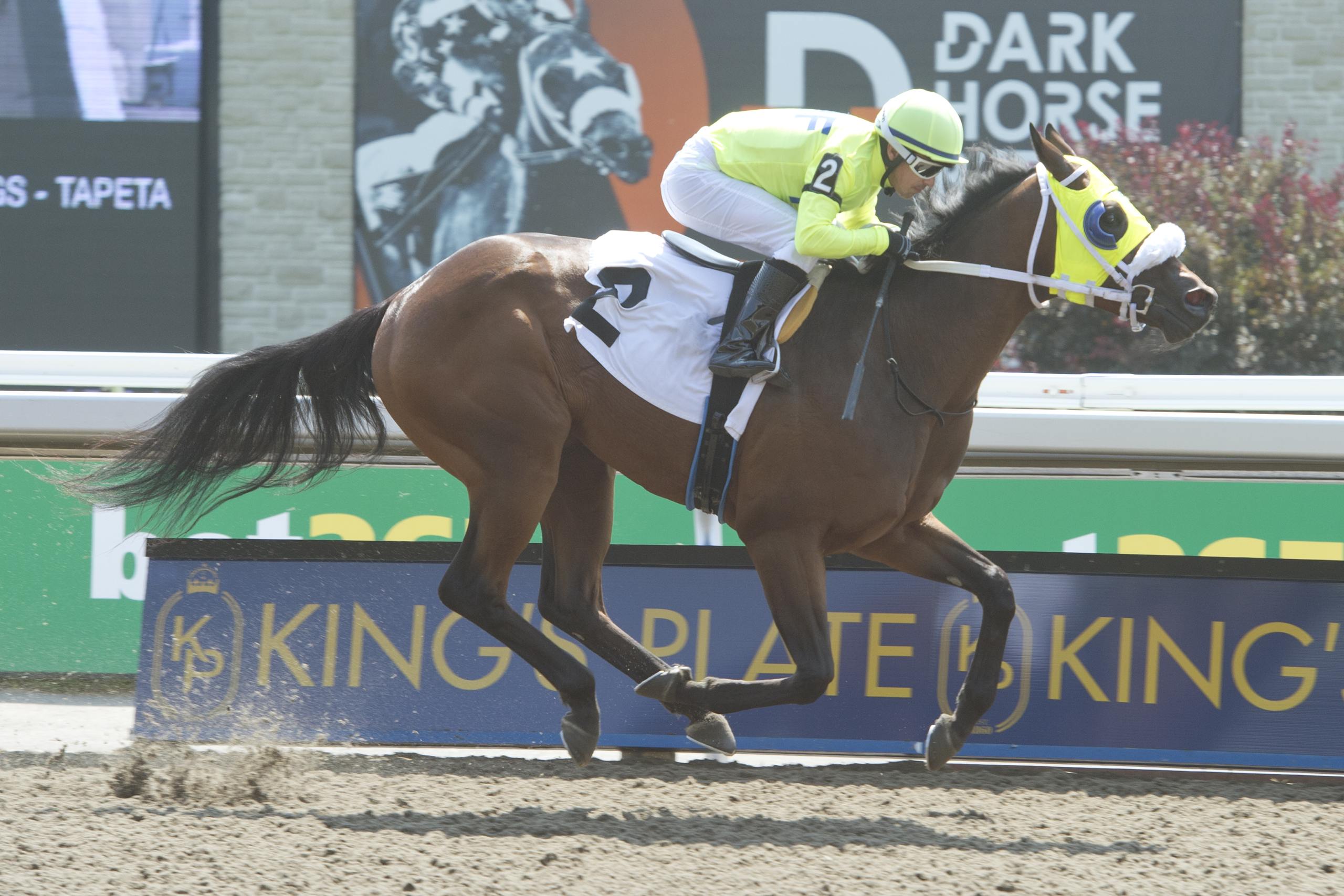 Meko Makee Tests Out Turf in Bull Page Stakes - Past The Wire