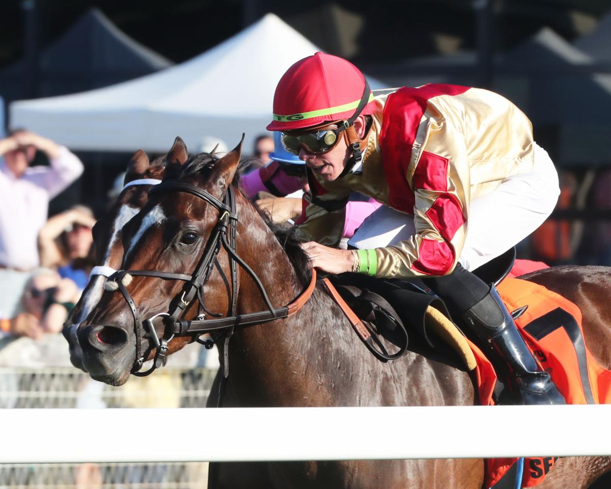 Secret Money Reveals Victory in $1M Music City (G3) - Past The Wire