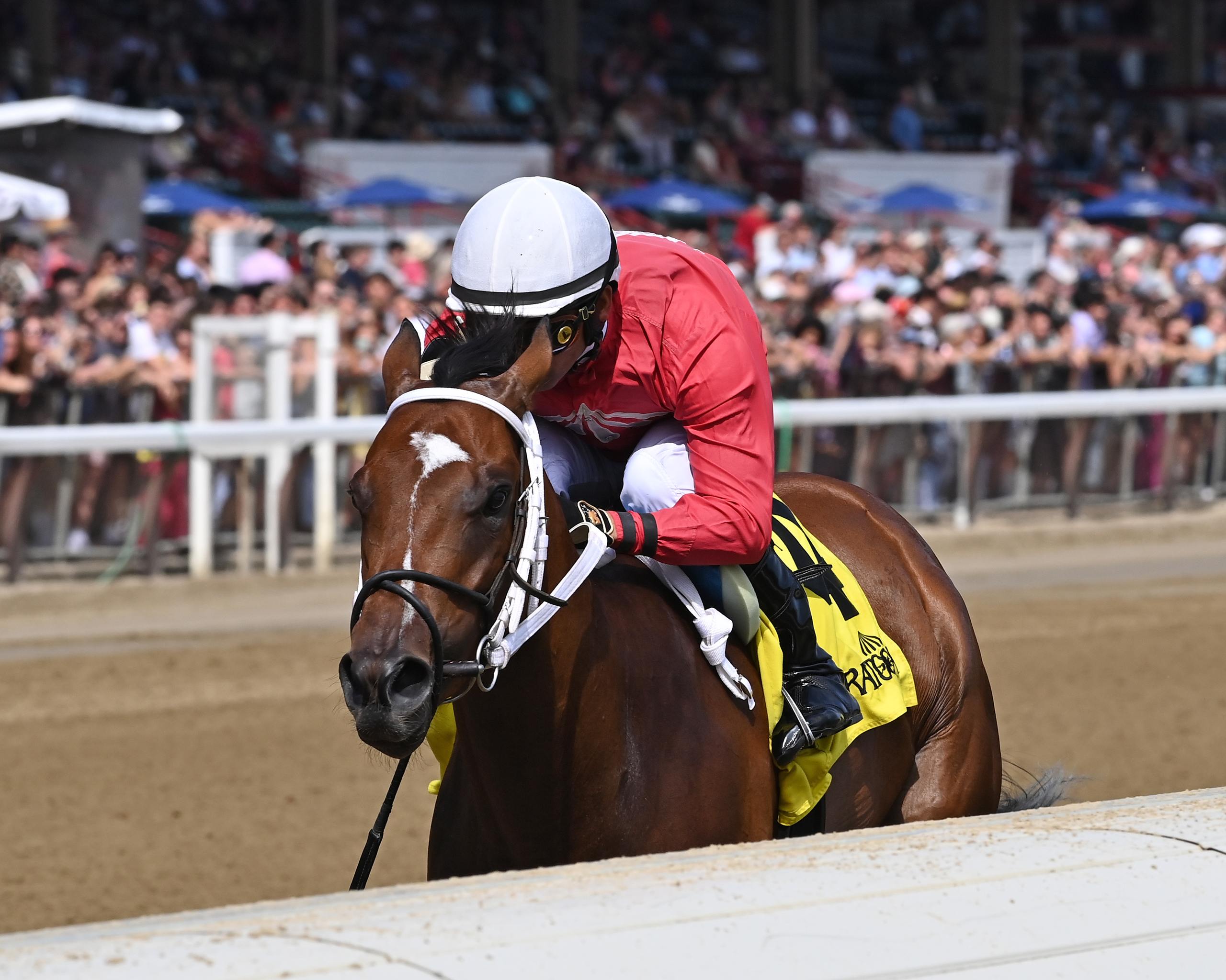 Alva Starr Shines Bright With Runaway Win in G2 Prioress - Past The Wire