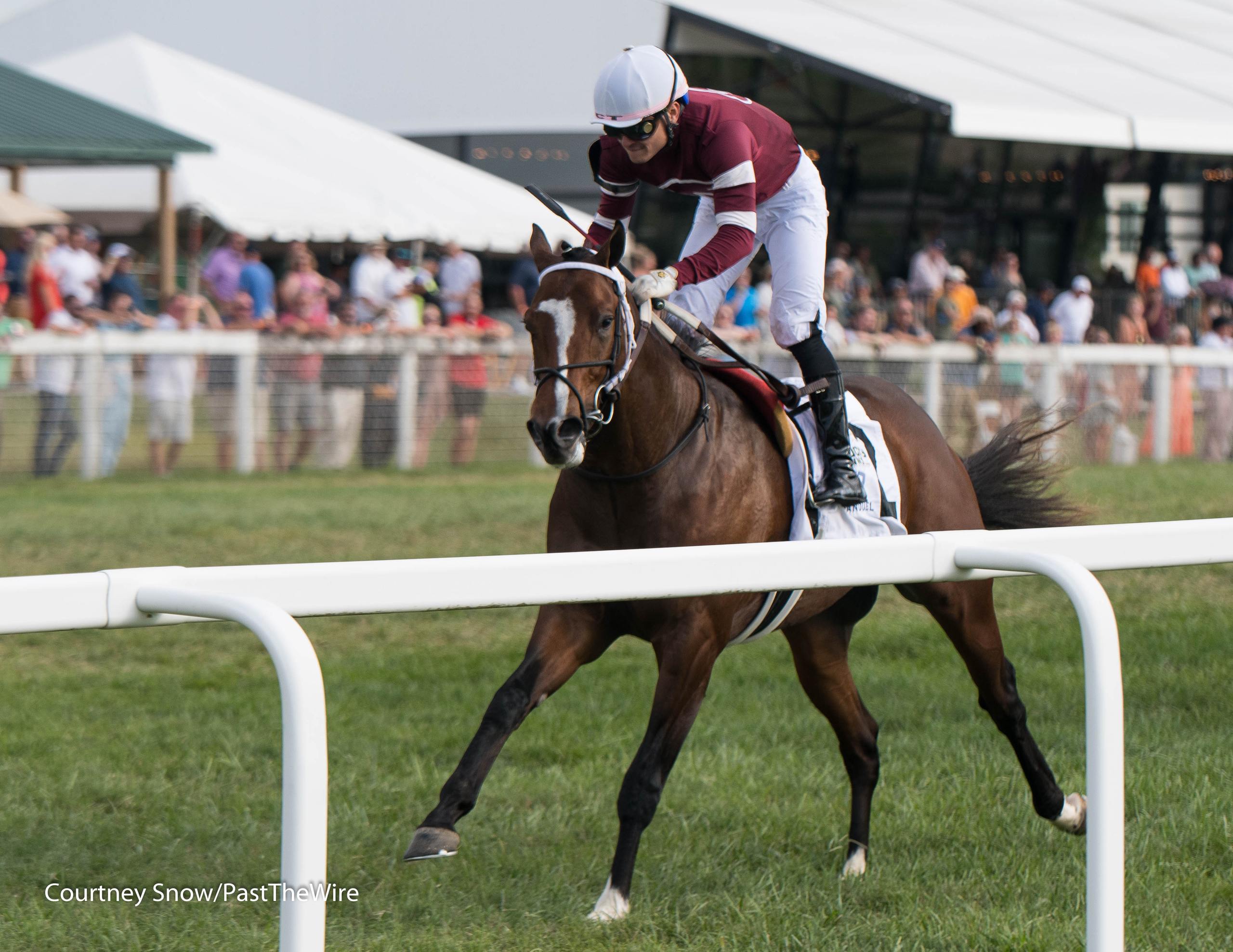 Aspenite Breaks Maiden in Kentucky Downs Juvenile Mile - Past The Wire