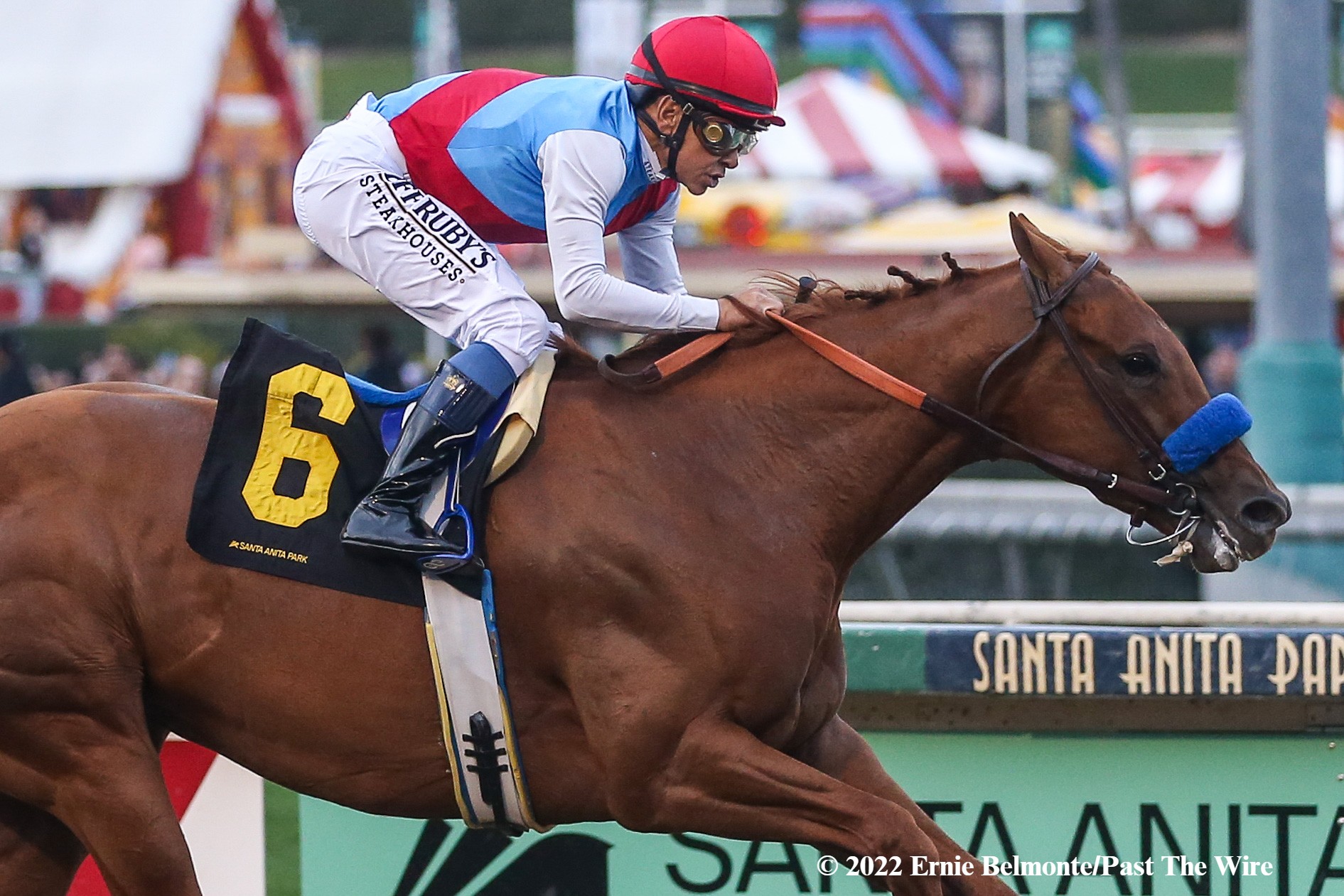 Spendthrift Farm Announces 2024 Stallion Roster and Fees - Past The Wire