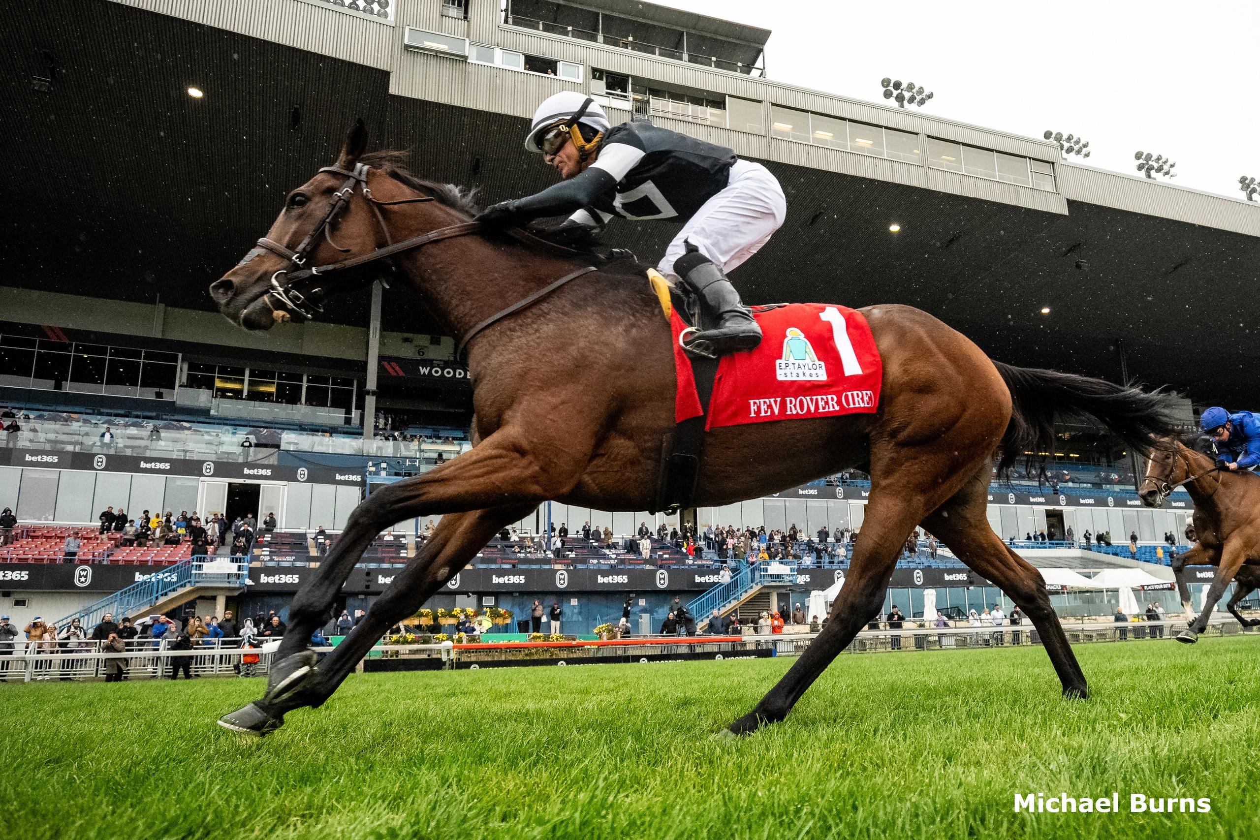 Fev Rover To Make Seasonal Debut in G1 New York - Past The Wire