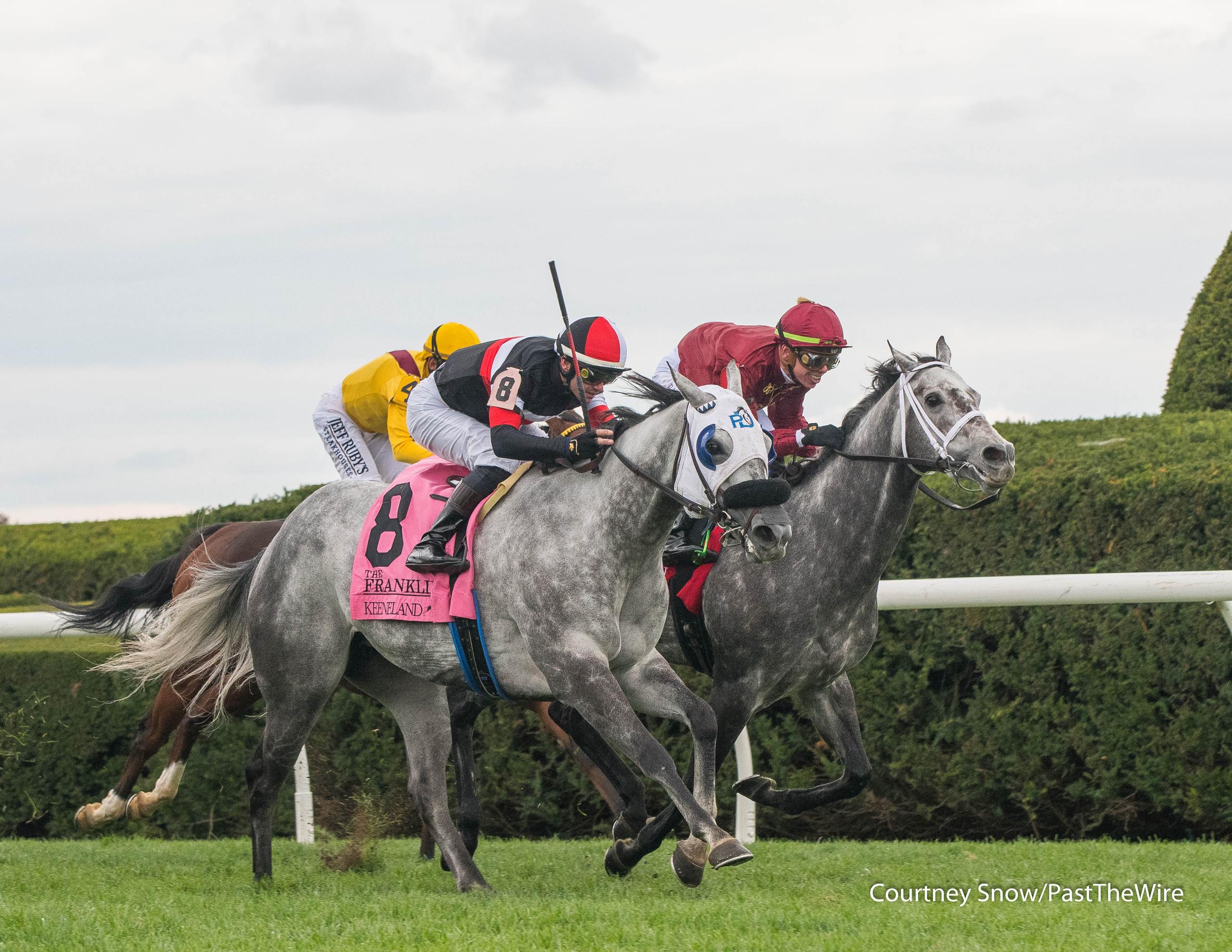 Tony Ann Outduels Caravel To Upset G2 Franklin - Past The Wire