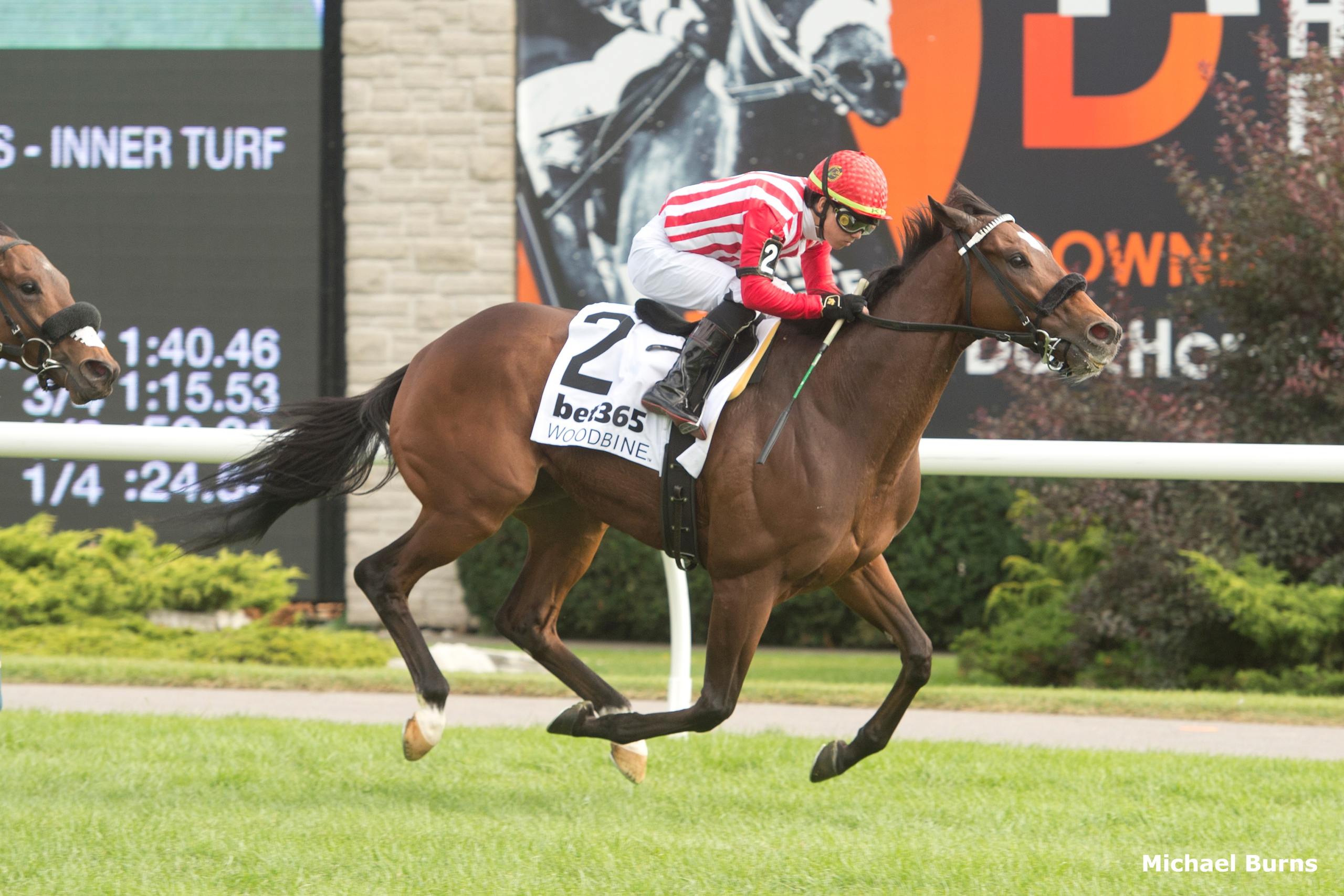 Turf Sprint and Turf Endurance Series Winners Meyer and Red River Rebel ...