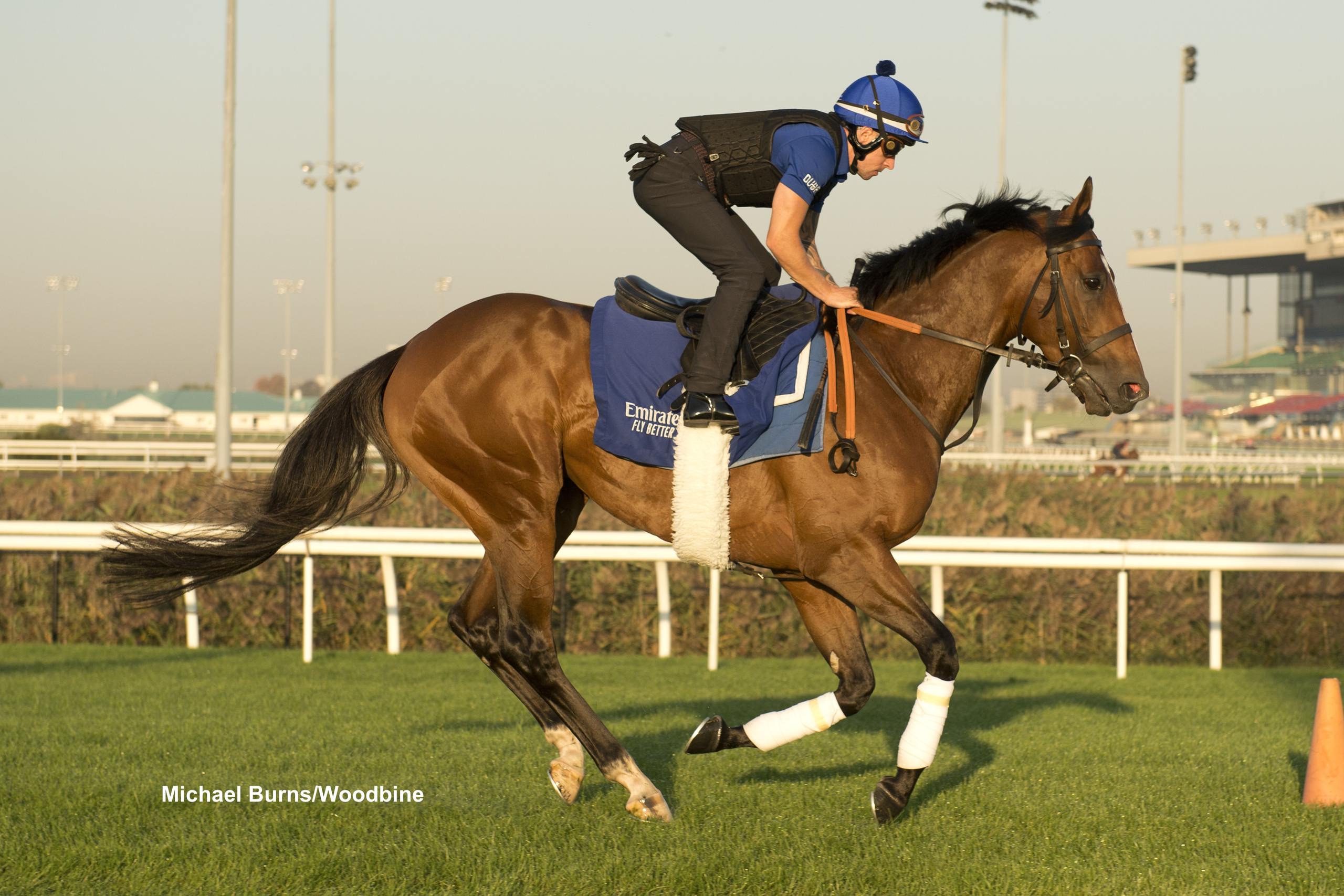 Multi-G1W Nations Pride Set for Canadian Int’l Challenge - Past The Wire