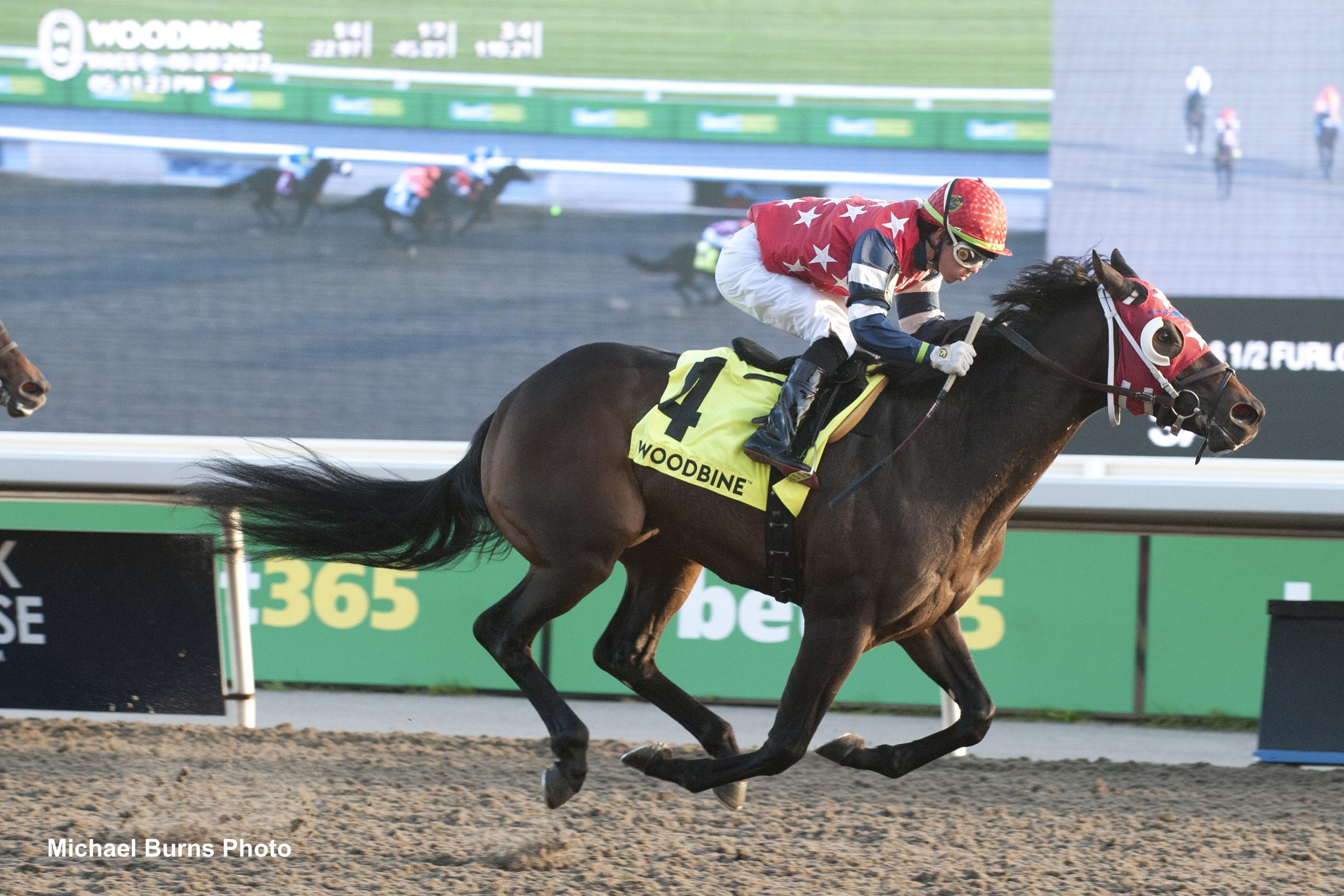 No More Options Heats Up Frost King - Past The Wire