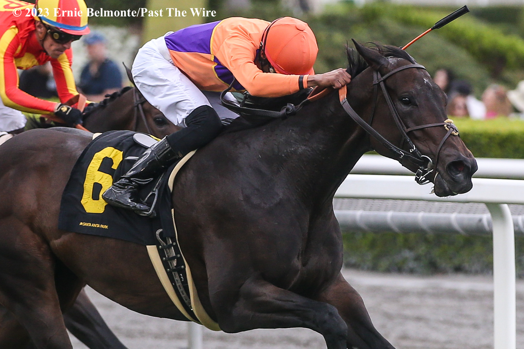 Ruby Nell Unleashes Wide Rally for Win in $100K Unzip Me - Past The Wire