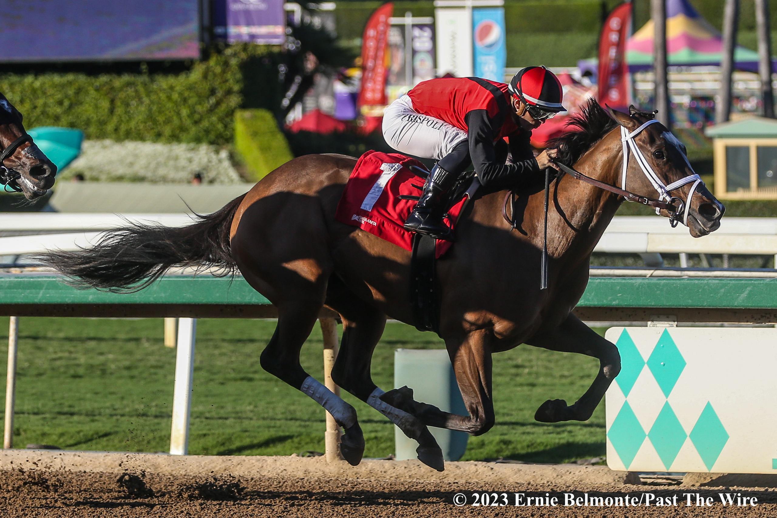 Sandy Bottom Goes Gate to Wire in Anoakia - Past The Wire