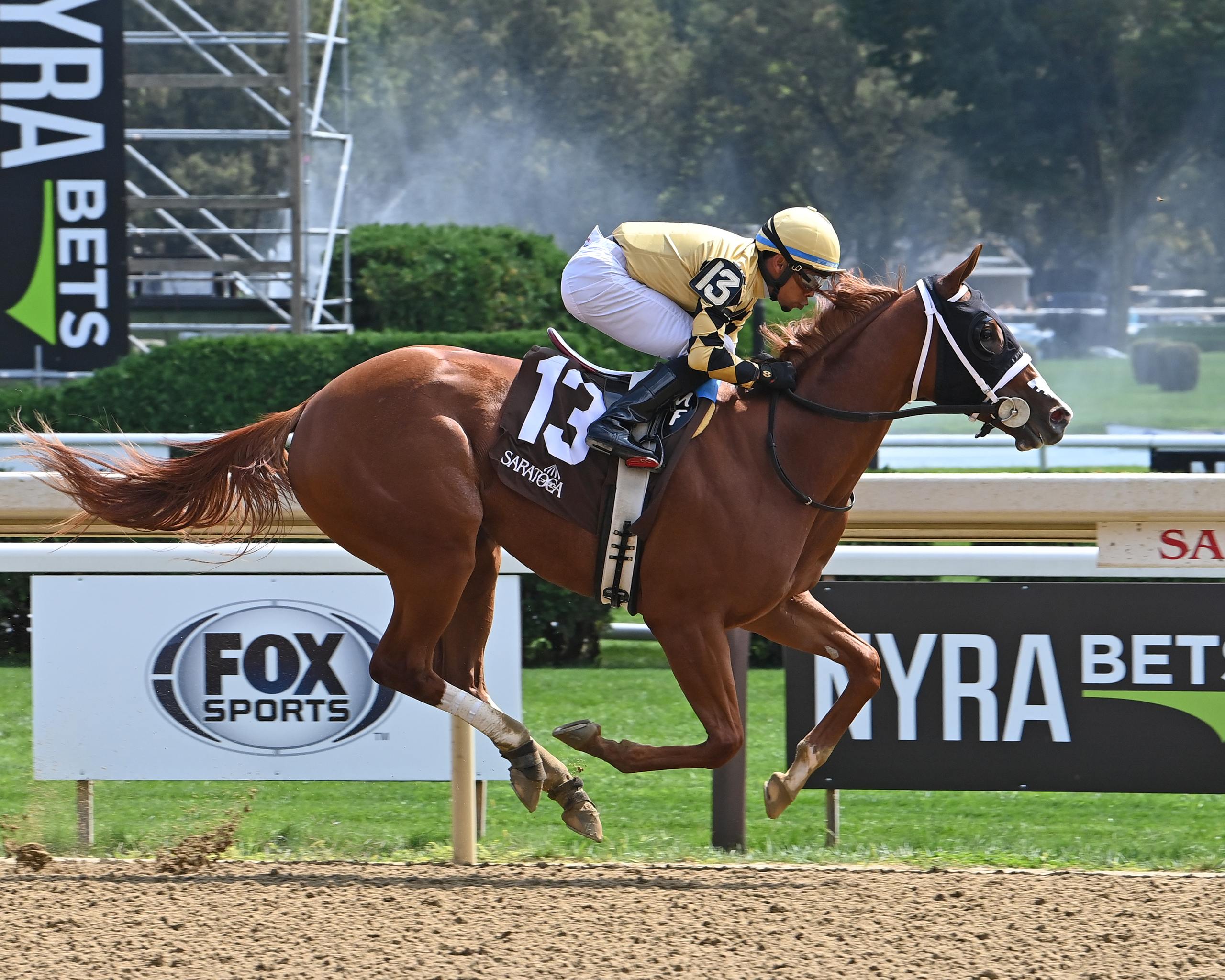 Breeding Award Rate Increases For New York-Breds In 2024 - Past The Wire