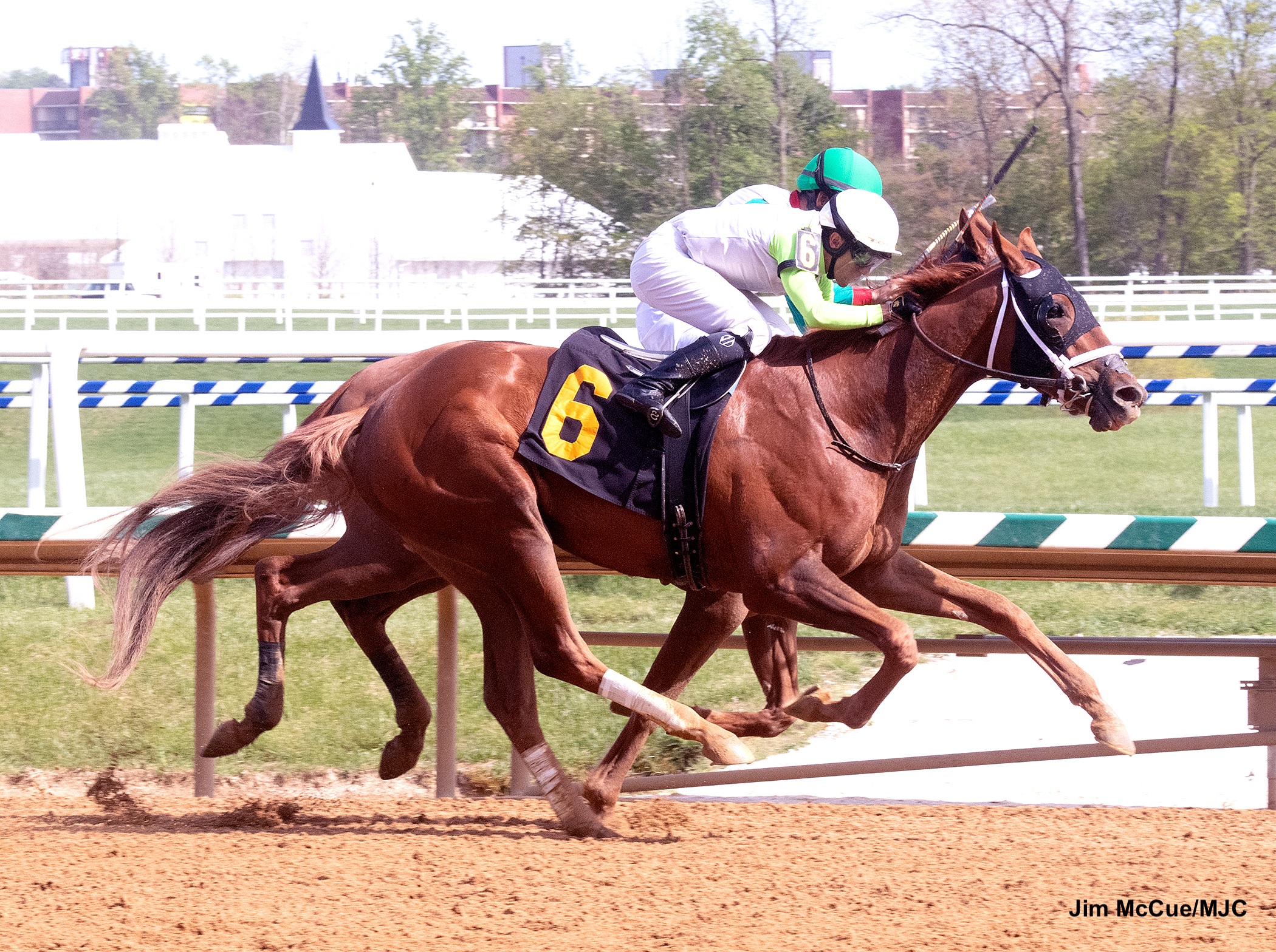 Stablemates The Addison Pour, Wish Me Home Top Laurel Turf Feature ...