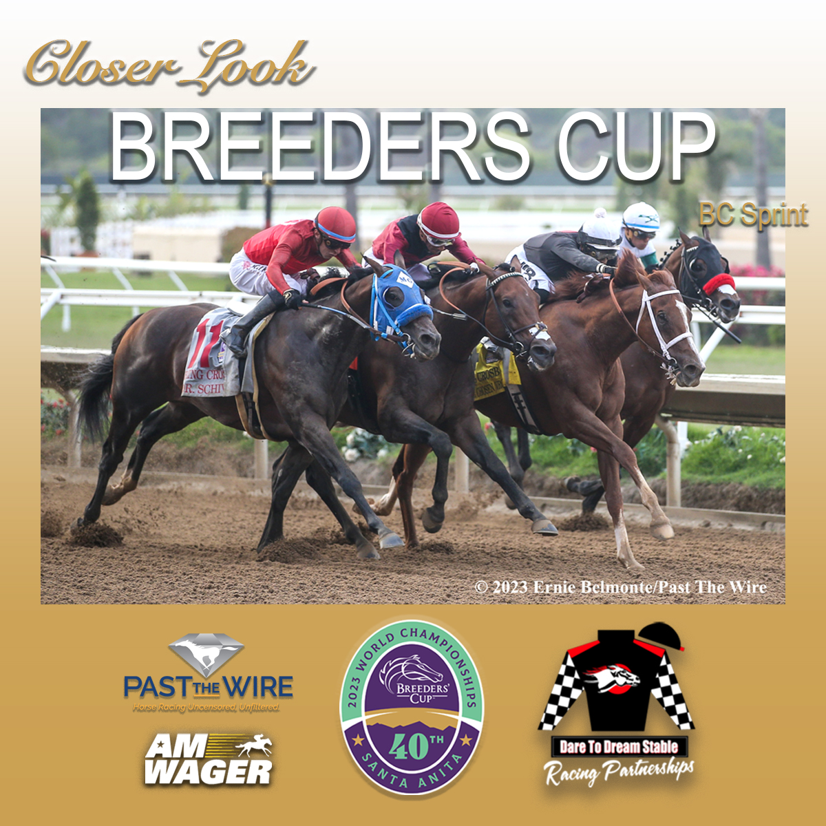 BC40 Closer Look: THE CHOSEN VRON - Past The Wire