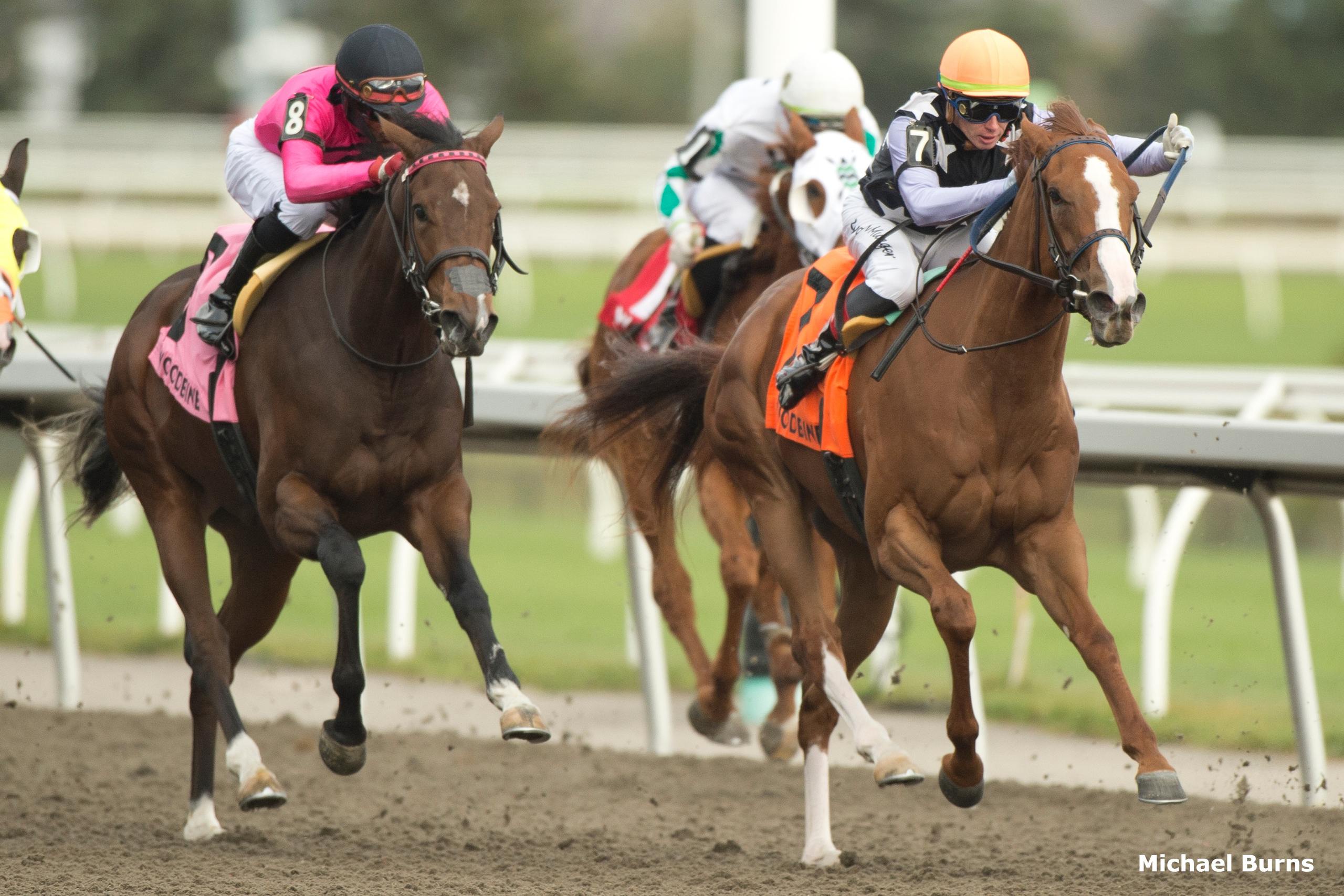 A Little Frisky Impresses and Breaks Maiden in $125K Glorious Song ...