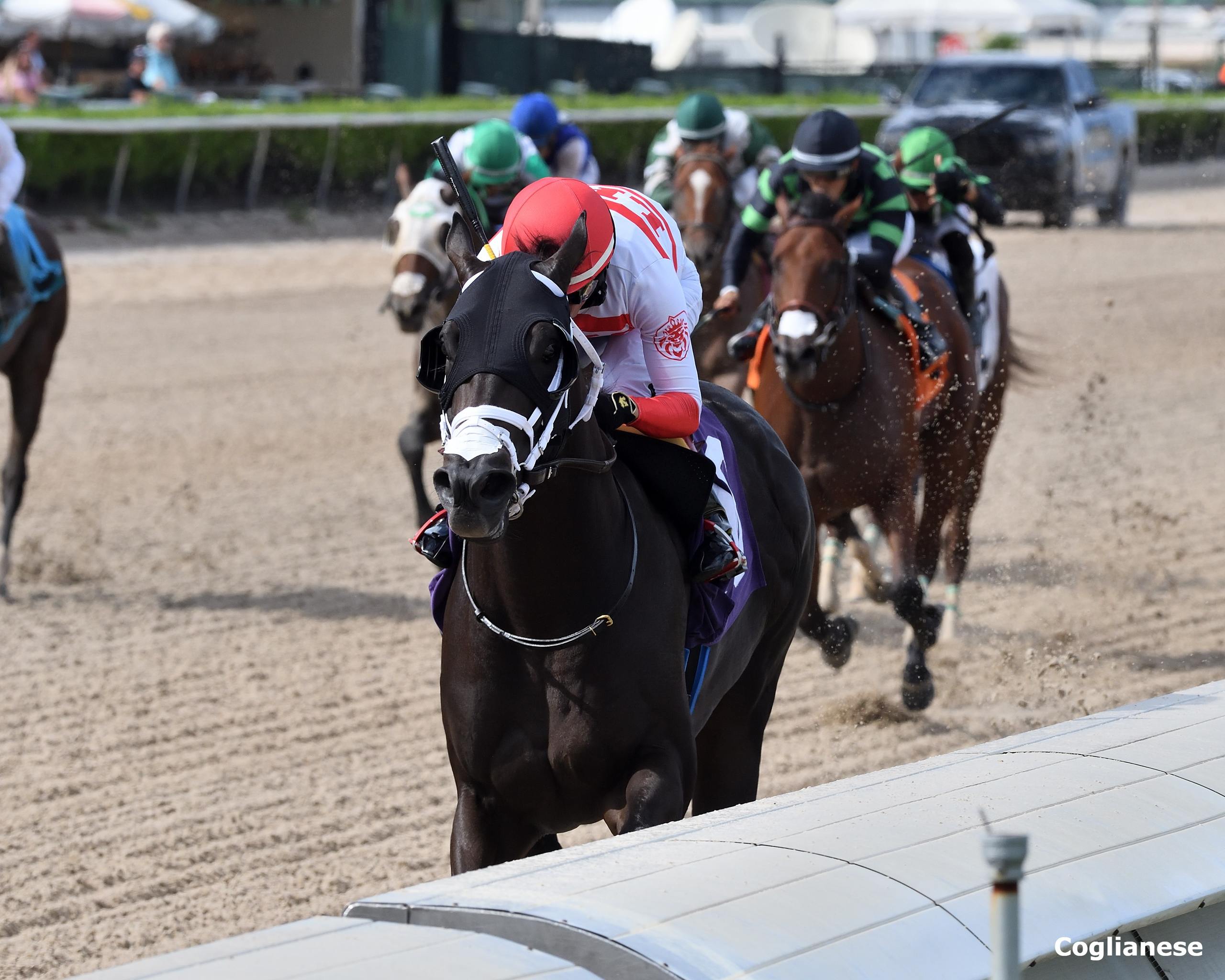 Rainbow 6 Mandatory Payout Set for Saturday at Gulfstream - Past The Wire