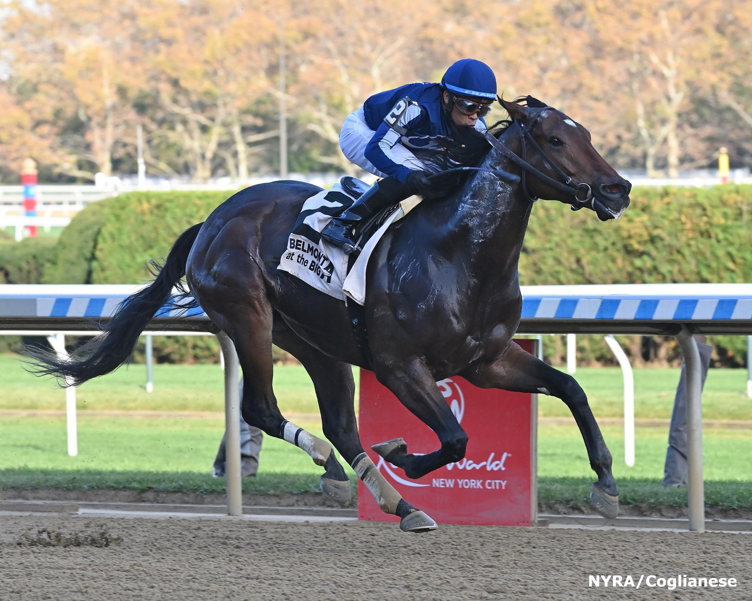 Durante Blitzes His Rivals in G3 Bold Ruler - Past The Wire