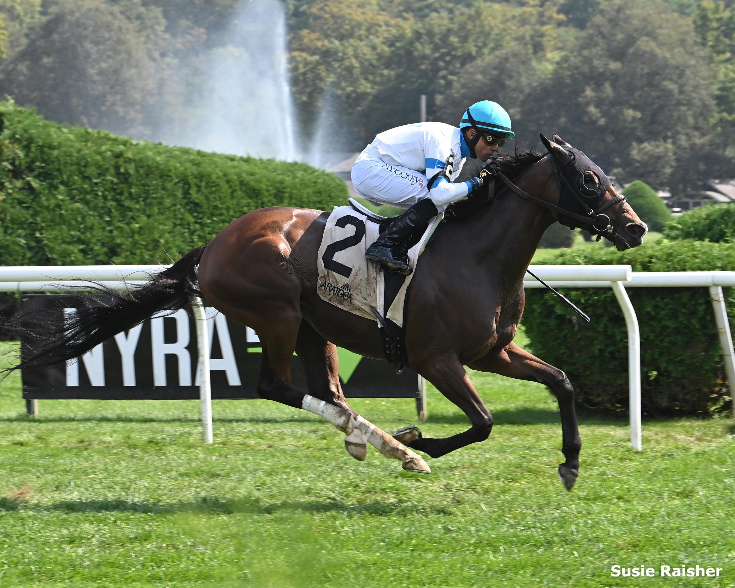 Pioneering Spirit Cuts Back in Distance for G3 Knickerbocker - Past The ...