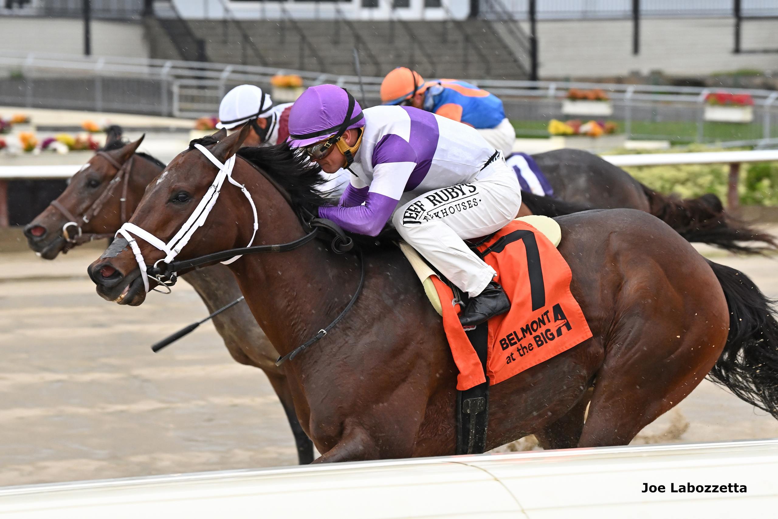 Today’s Flavor Takes Off-The-Turf Edition of G3 Belmont Turf Sprint ...
