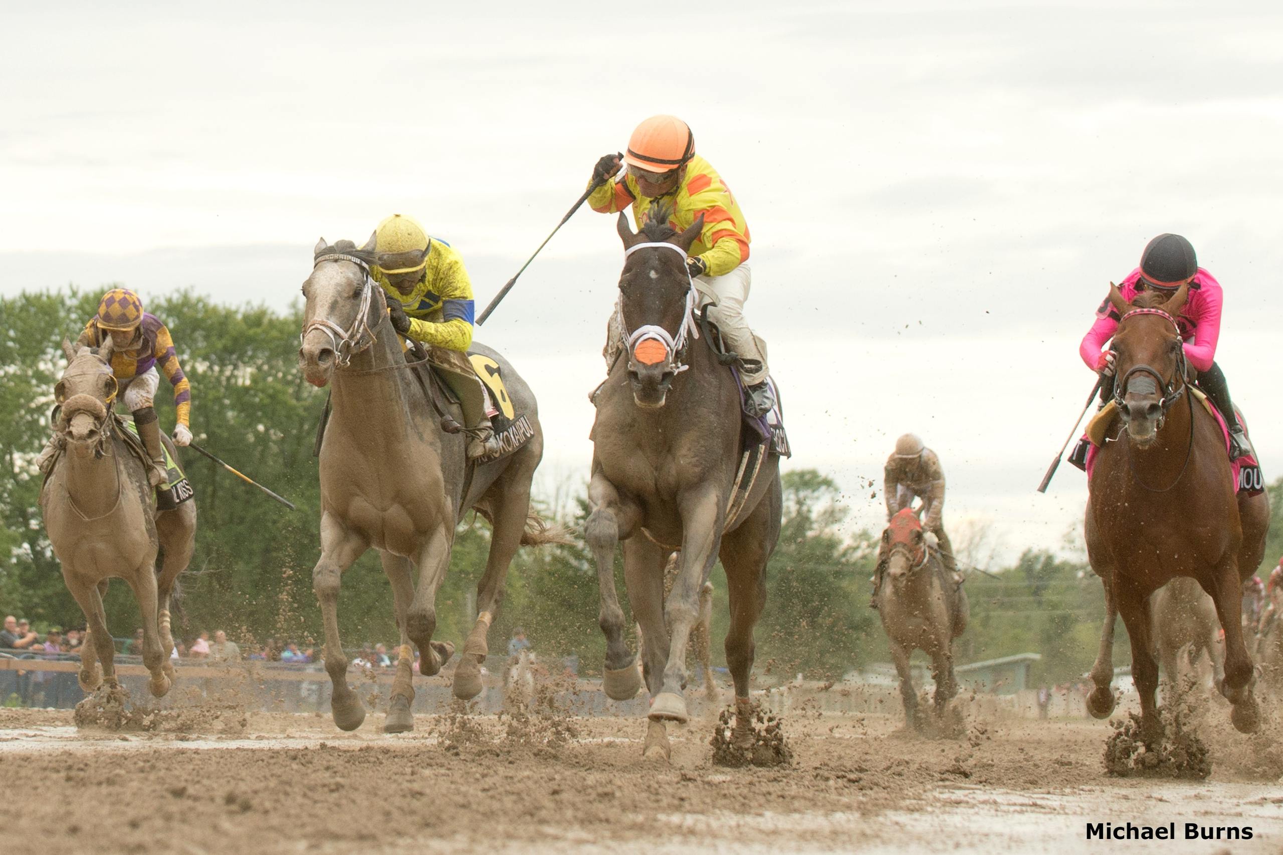 Canadian Classic Winners Velocitor, Touch’n Ride Headline G3 Ontario ...