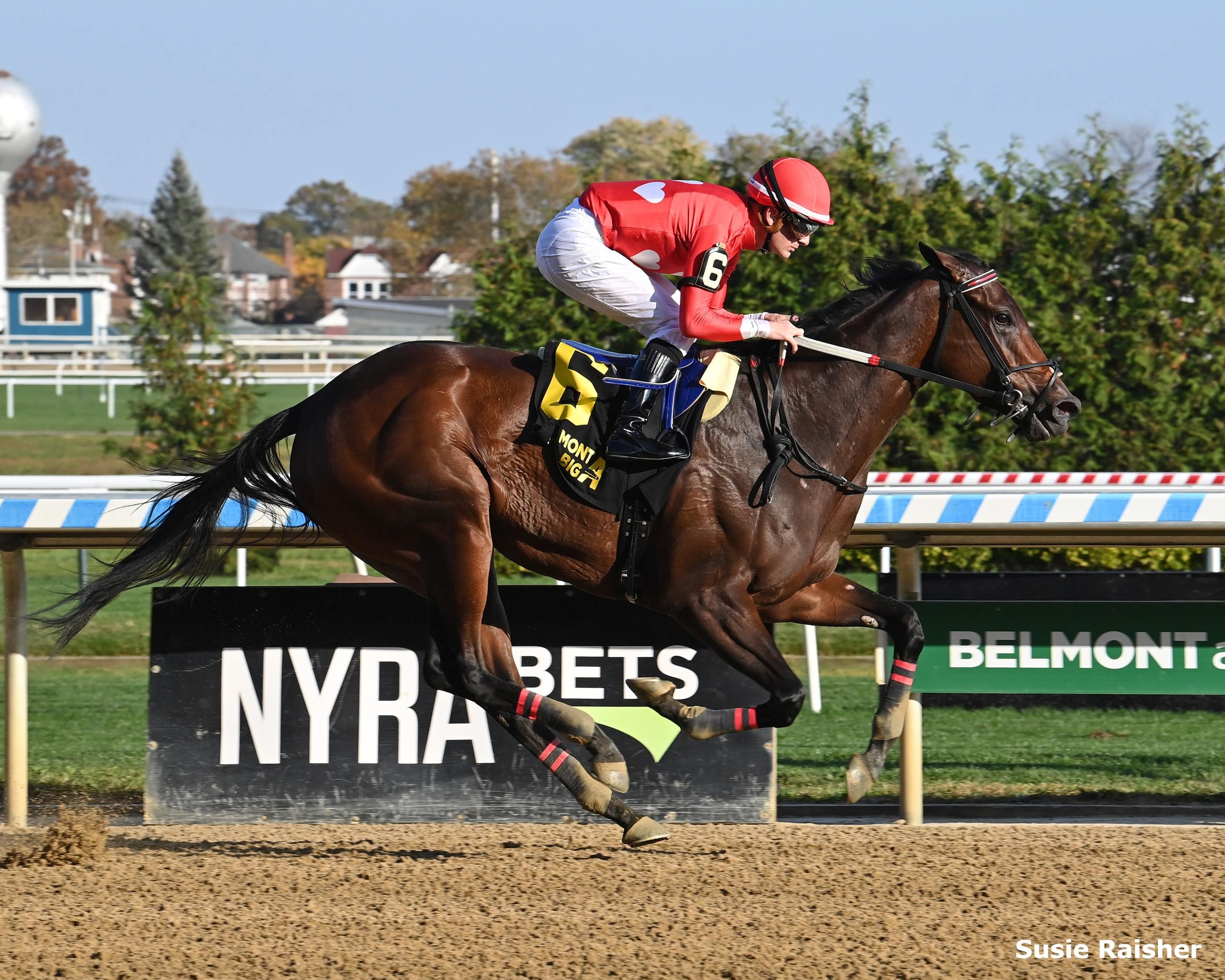 Xigera Looks to Close Out Prosperous Year on Top in G3 Falls City ...