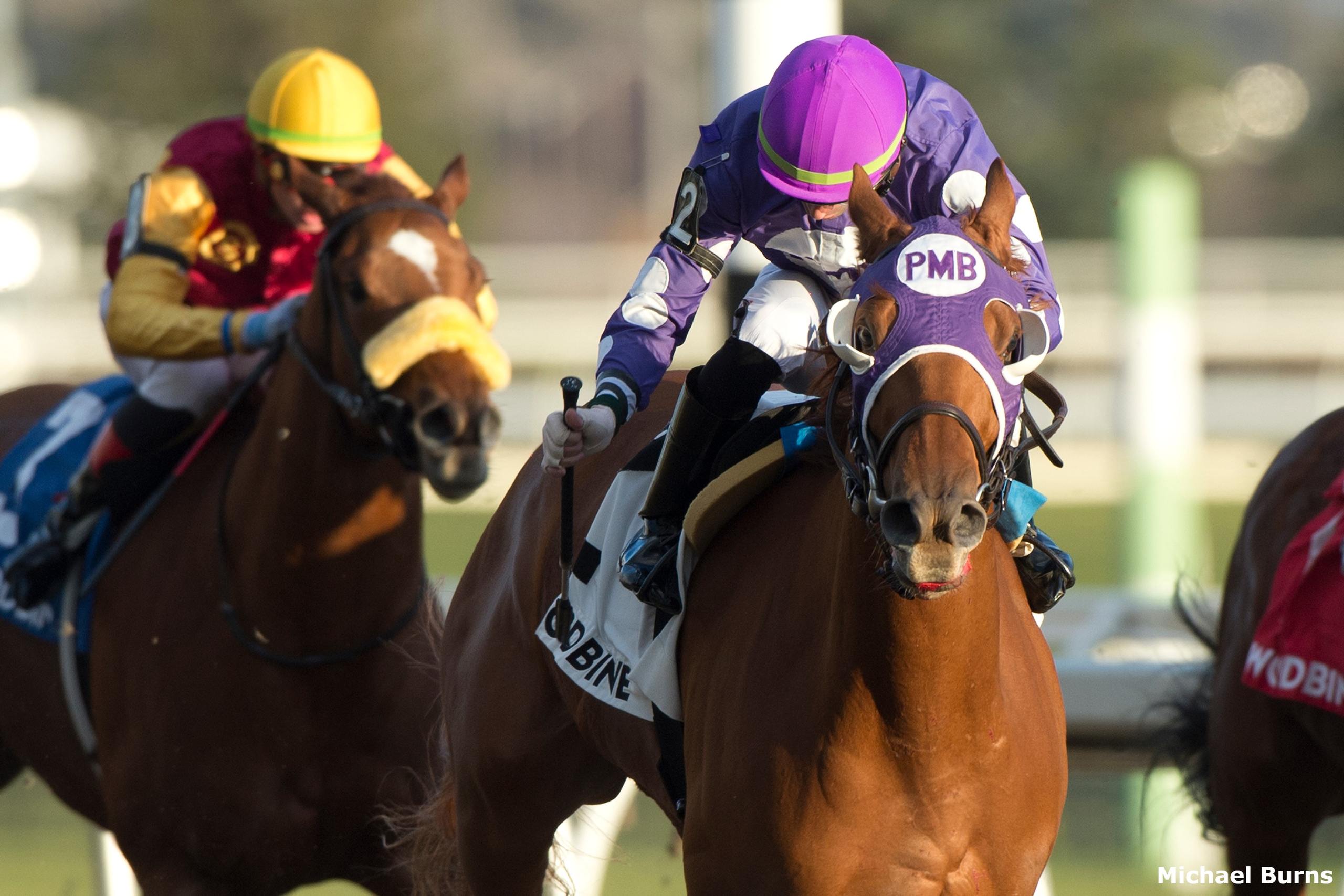 Jim’s Hope Takes $100K Lake Ontario in Stakes Debut - Past The Wire