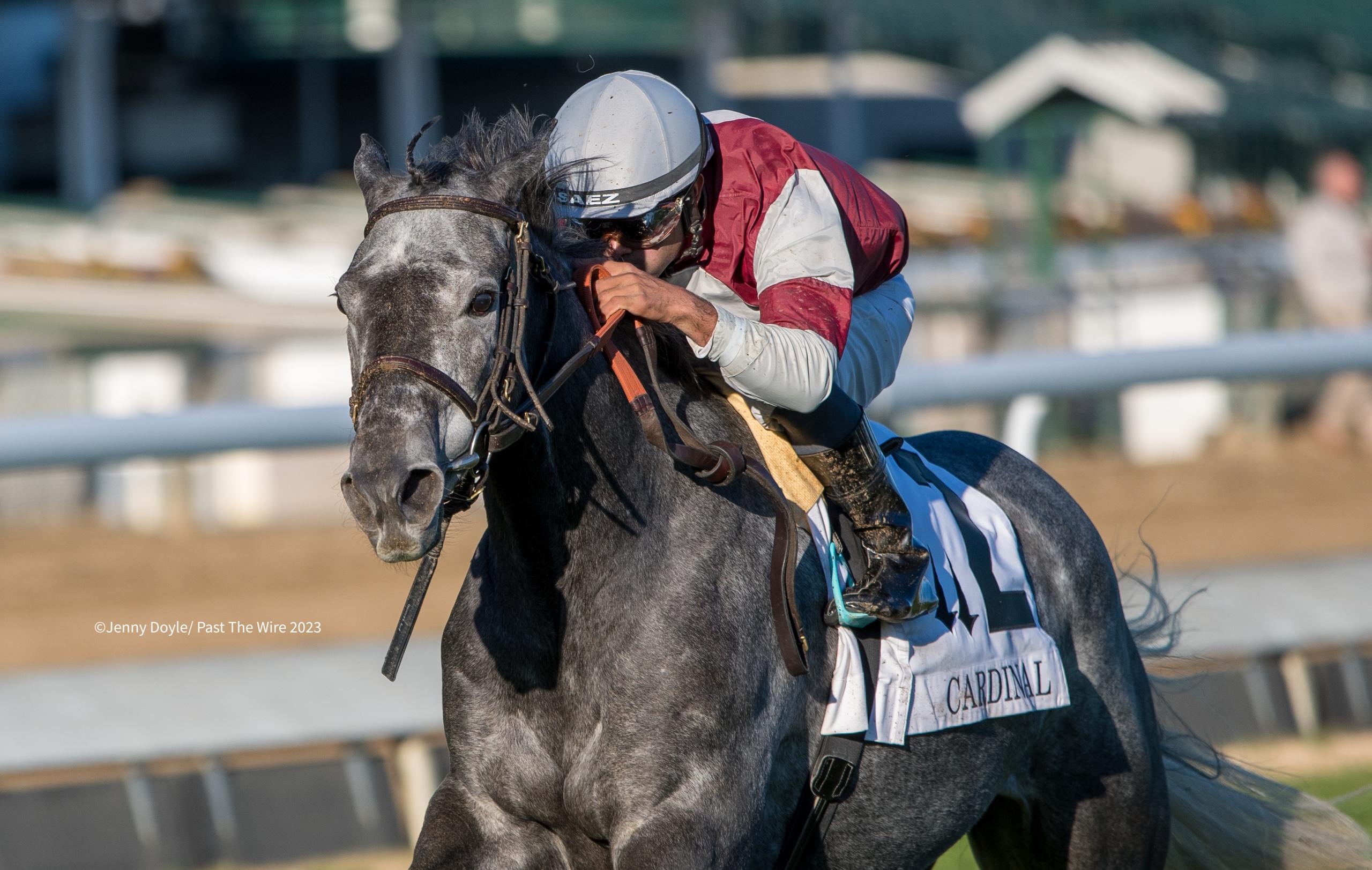 Star Fortress Brings Her Talent to G2 Pegasus Filly & Mare Turf - Past ...