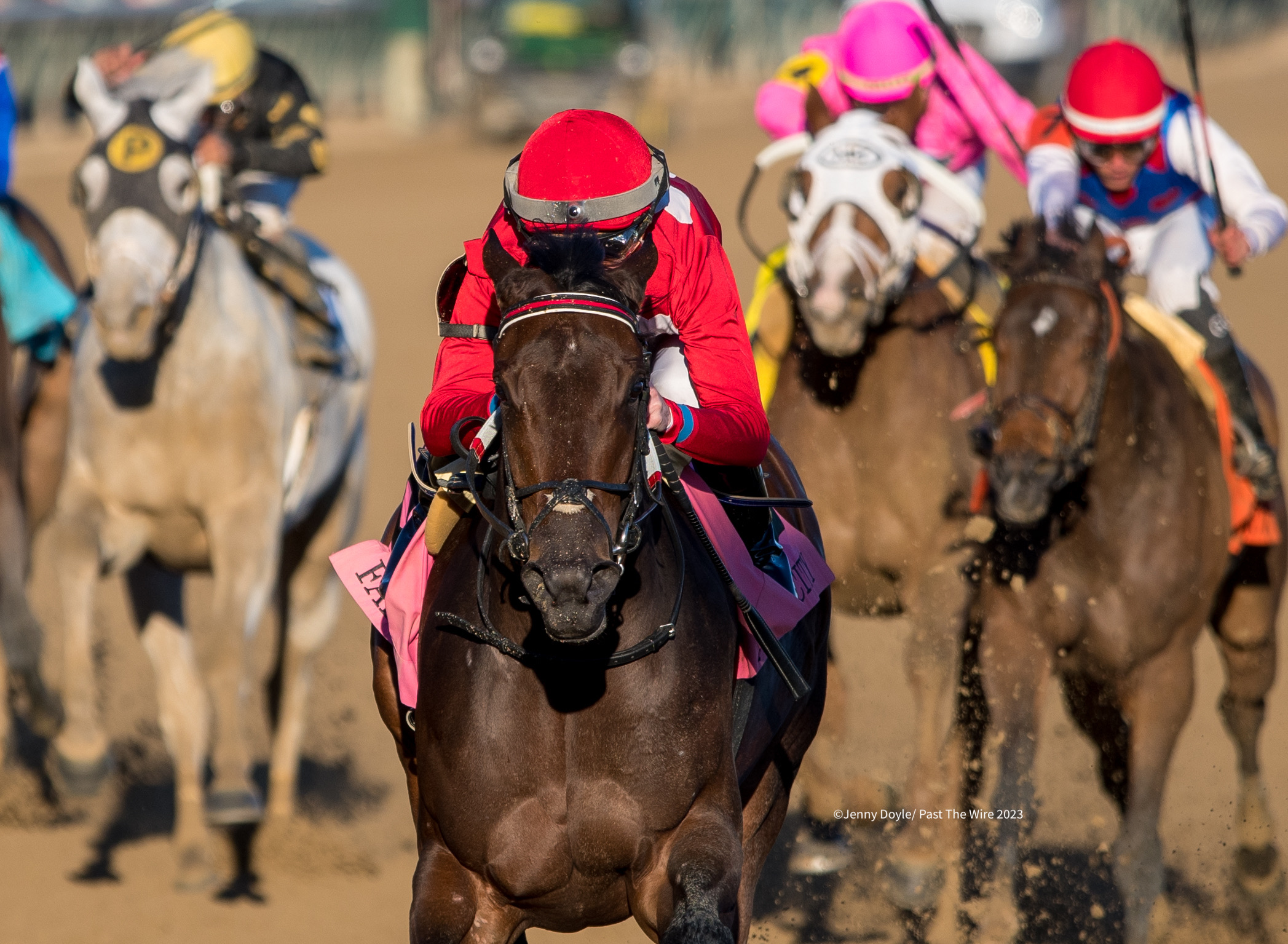 Xigera Rolls to Easy Victory in G3 Falls City - Past The Wire