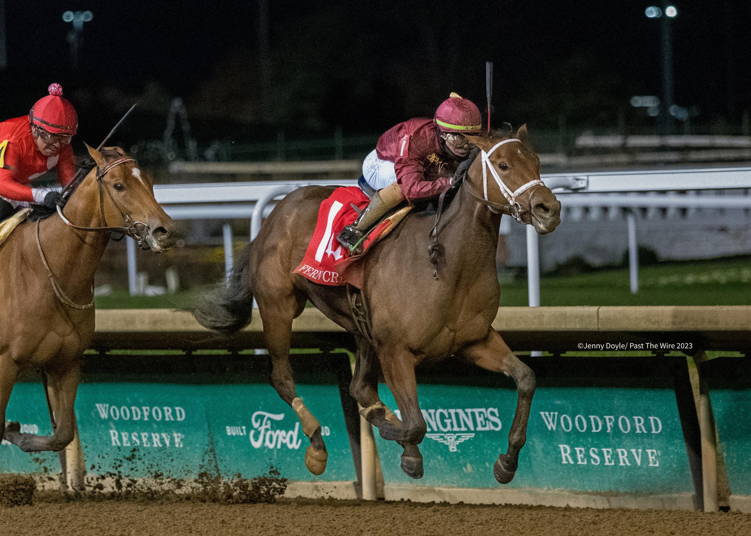 Youalmosthadme Chasing Graded Success in Miss Preakness - Past The Wire