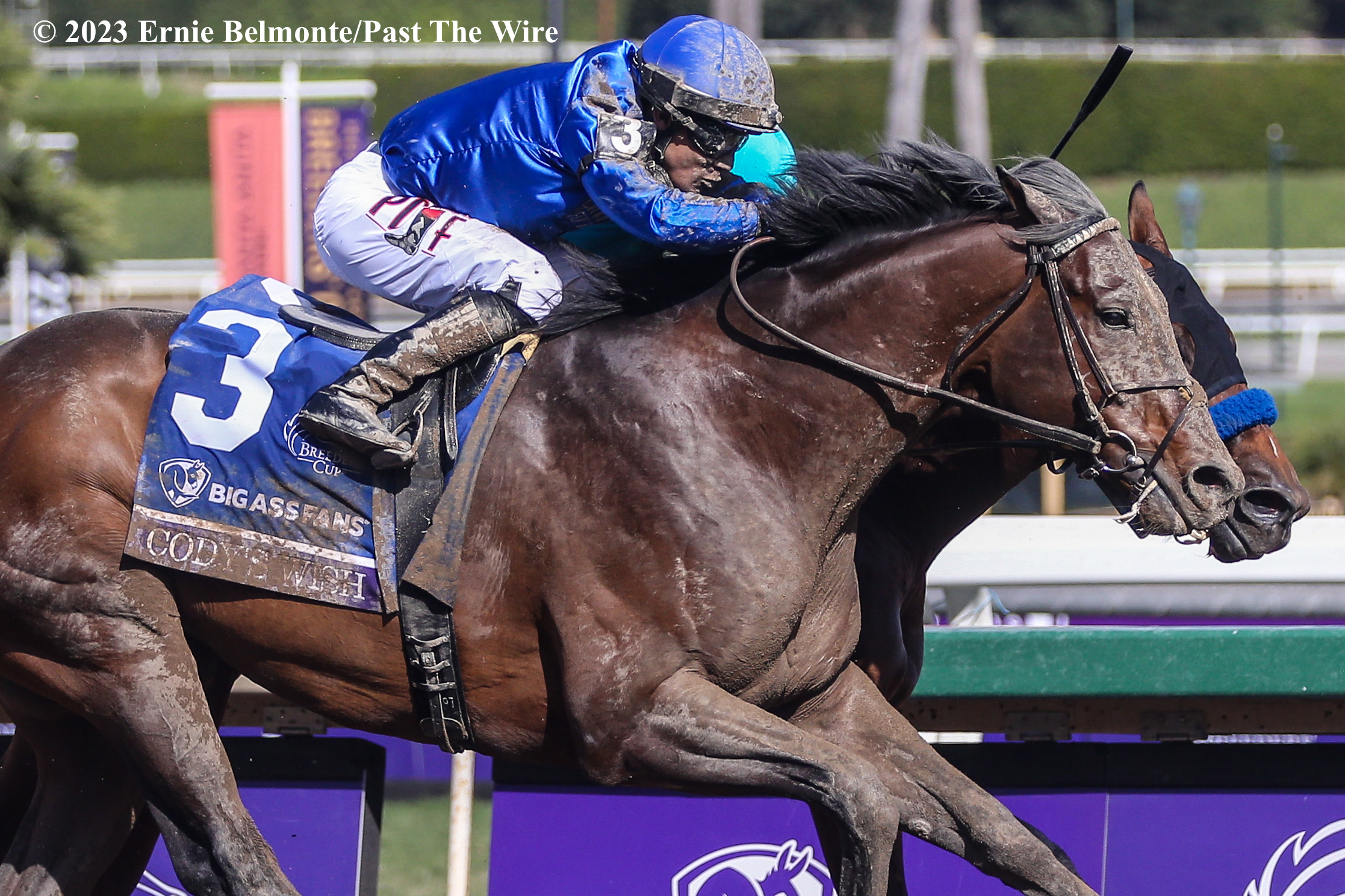 Breeders’ Cup, More Than Great Racing - Past The Wire